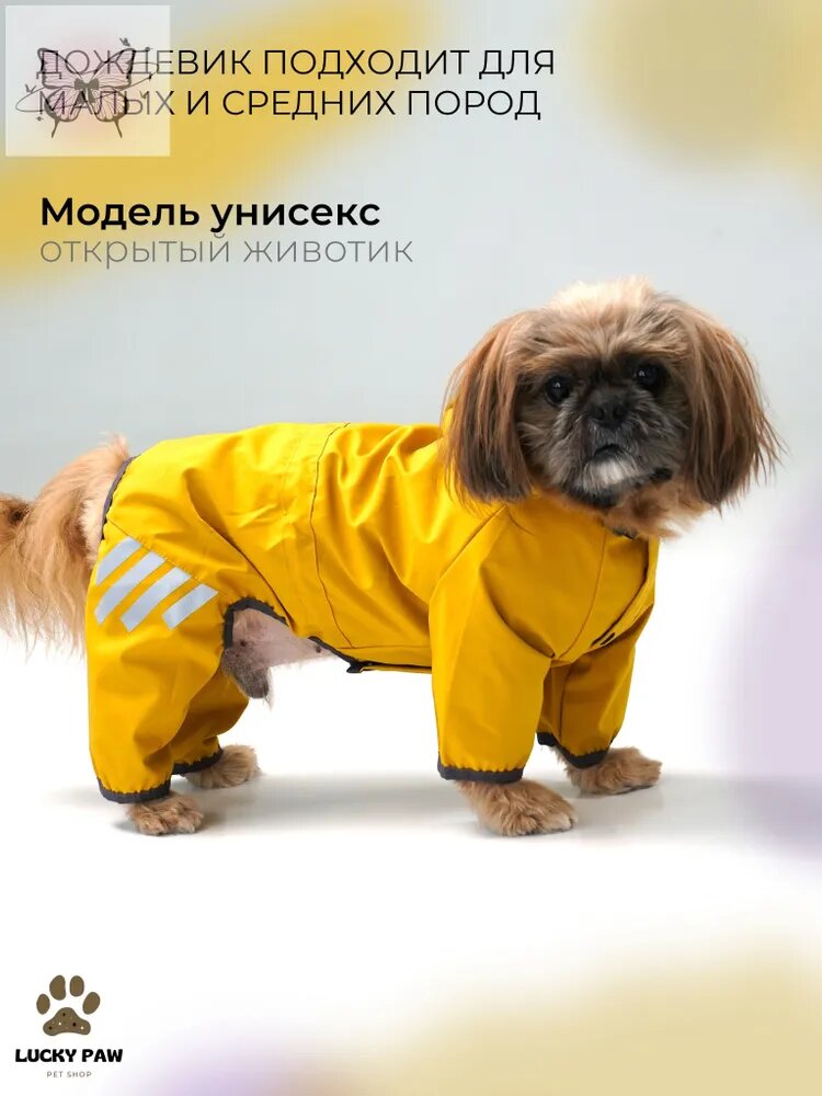 Желтый дождевик для собак L, непромокаемый, с капюшоном, для йоркширского терьера, шпица — фото 1