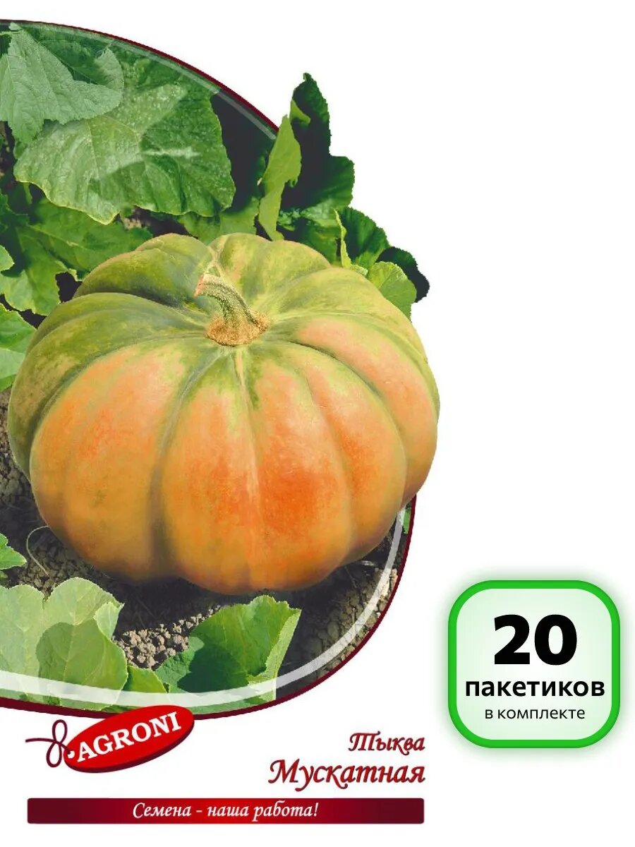 (20 шт.) - Семена Тыква Мускатная (2,0г)