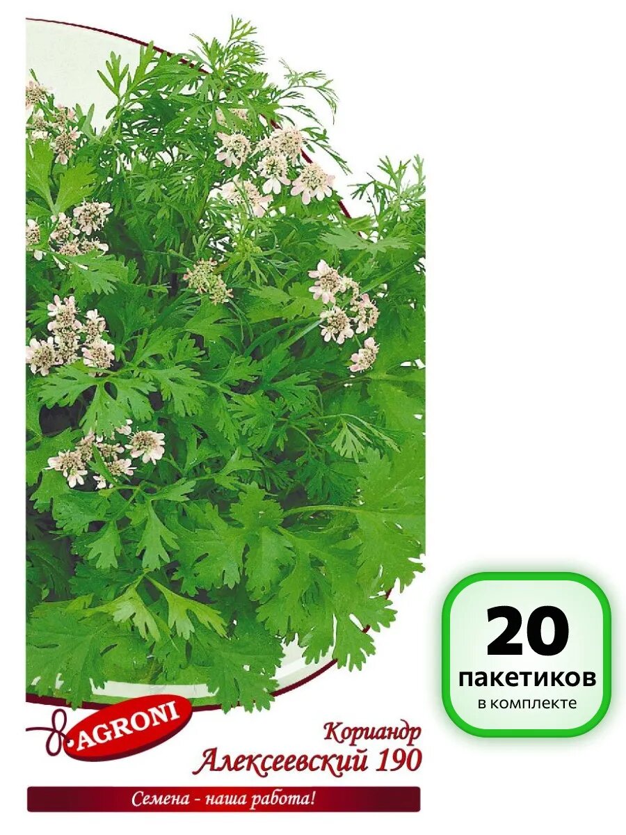 (20 шт.) - Семена Кориандр Алексеевский 190 (4,0г)