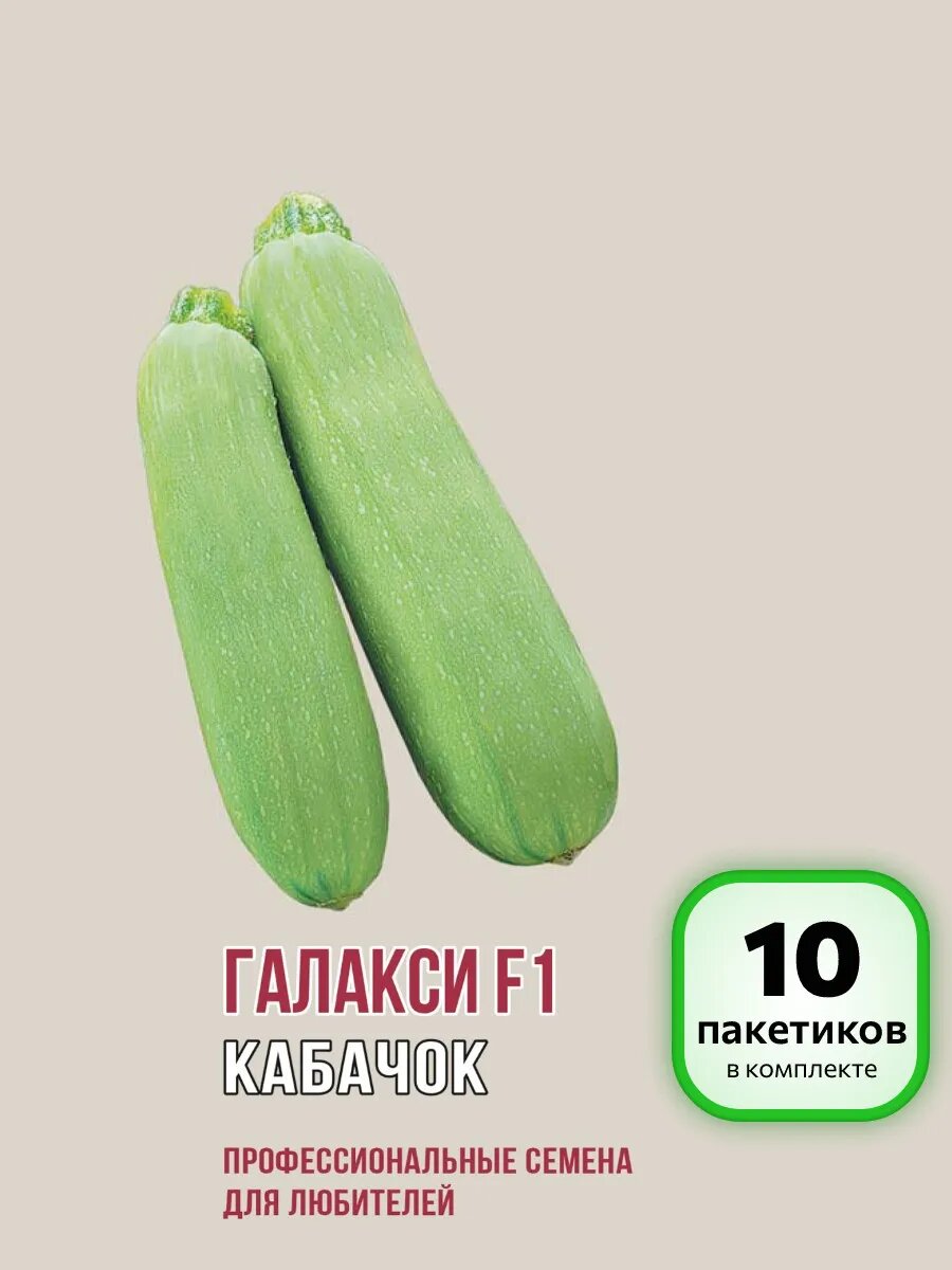 (10 шт.) - Семена Кабачок галакси F1 5шт