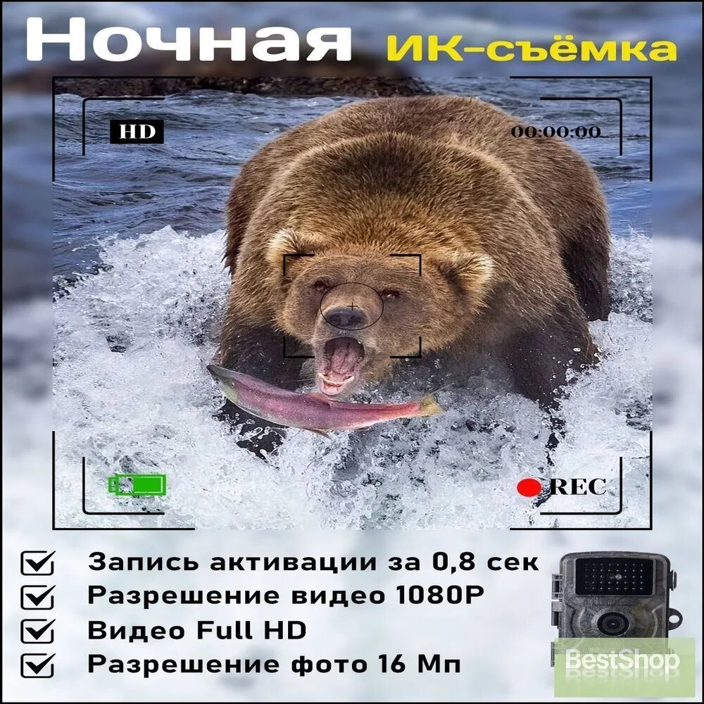 Фотоловушка — фото 1
