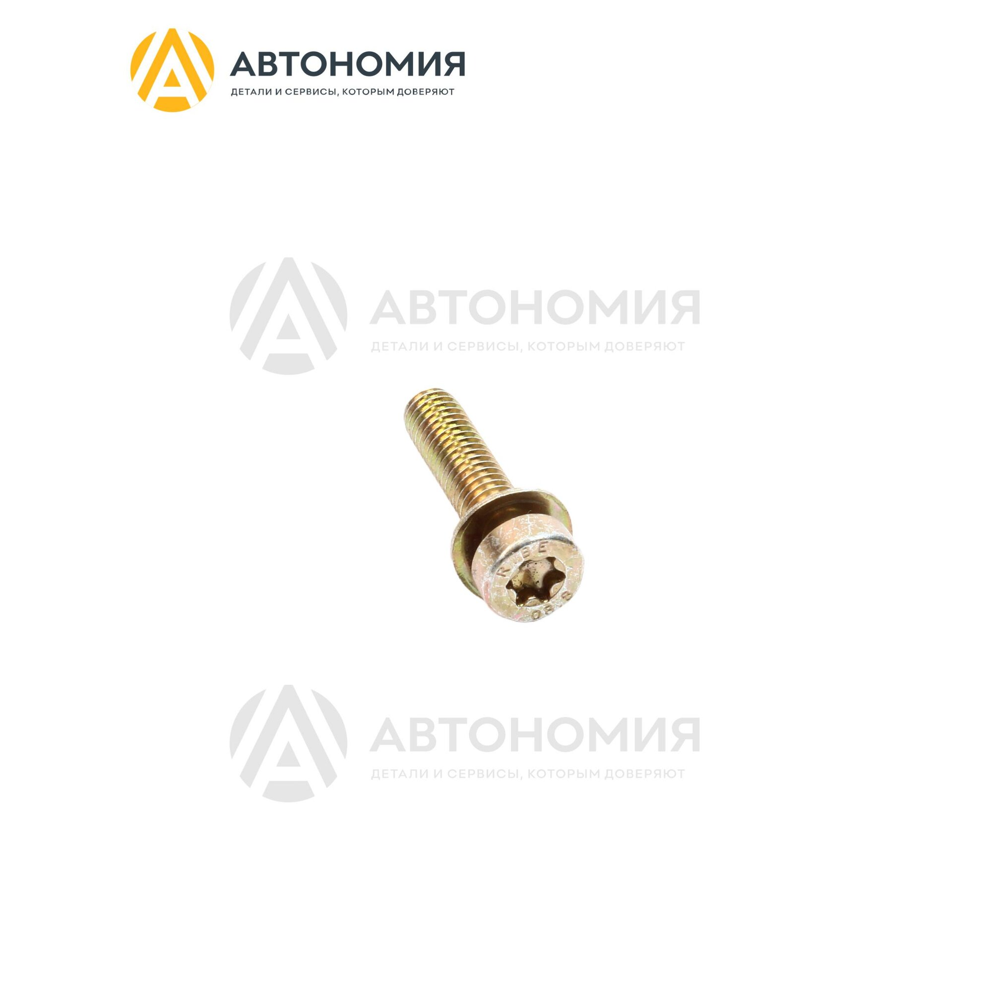 Винт M6x25 с цилиндрической головкой torx с шайбой BMW 11 14 1 460 752