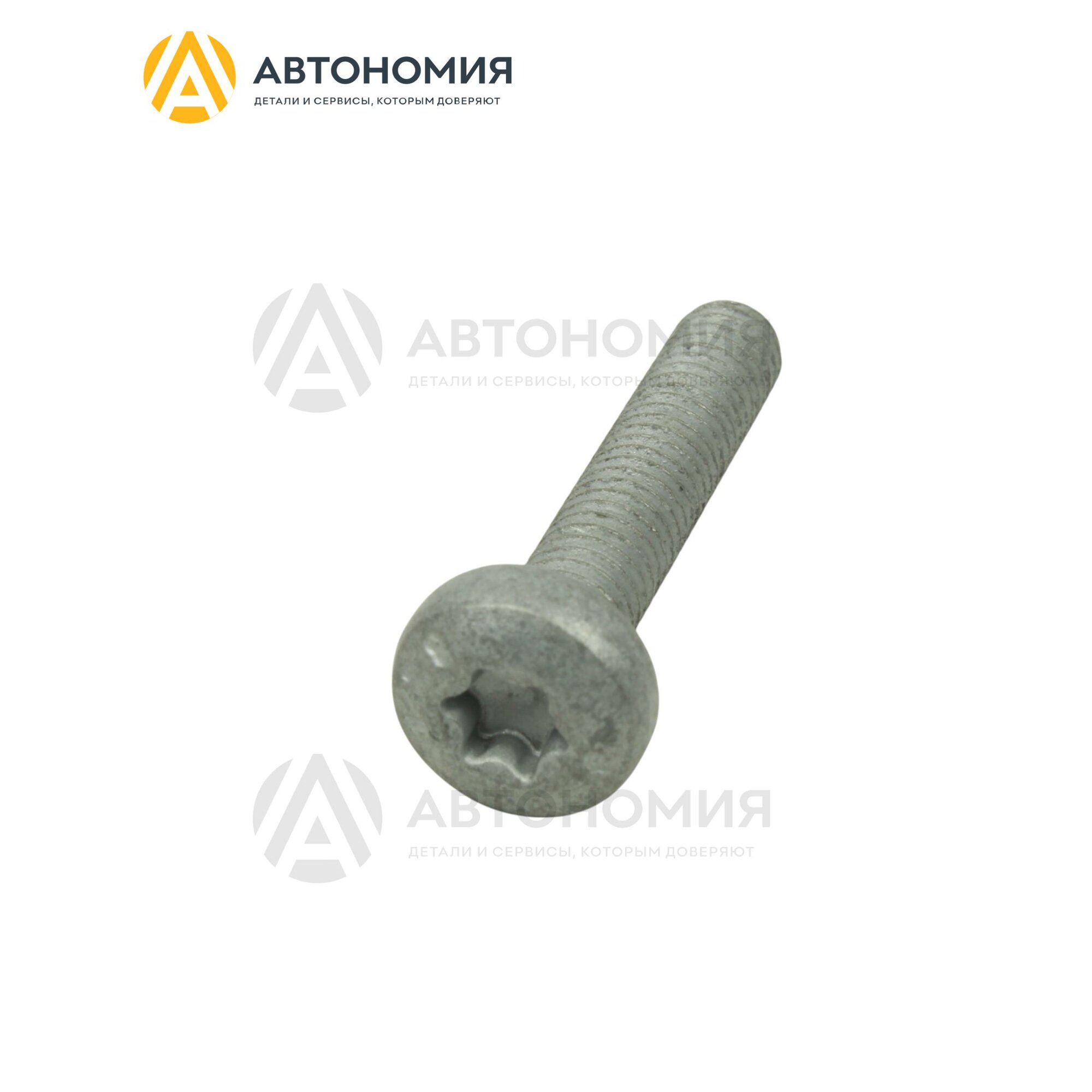 Винт с внутренним torx VAG N10 156 206