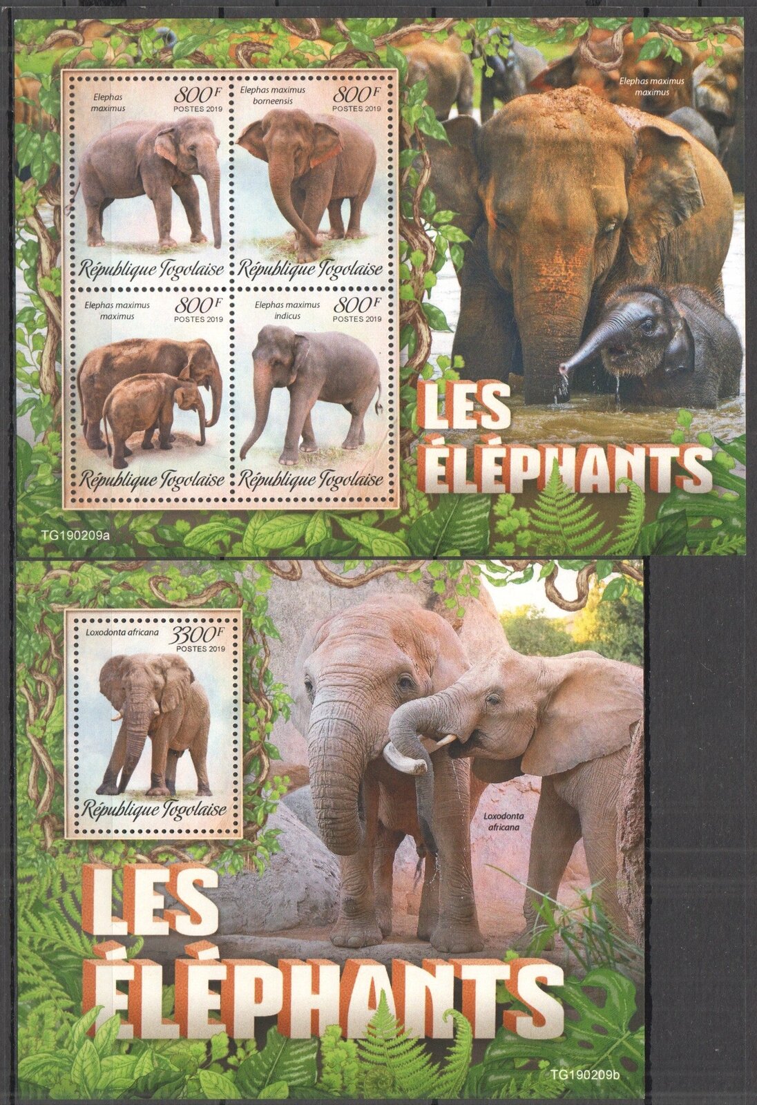 Марки 2019 год Того Слоны Дикие животные Фауна #6832-6835+Bl1541 Mnh