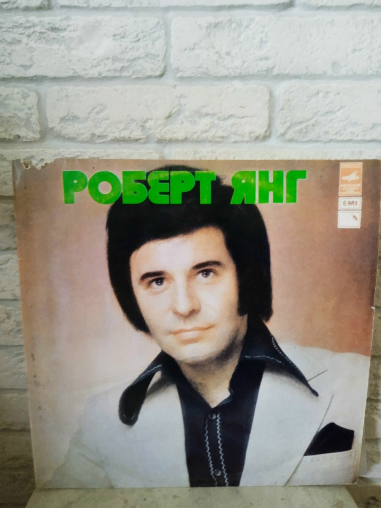 Виниловая пластинка Robert Young - Роберт Янг (LP)