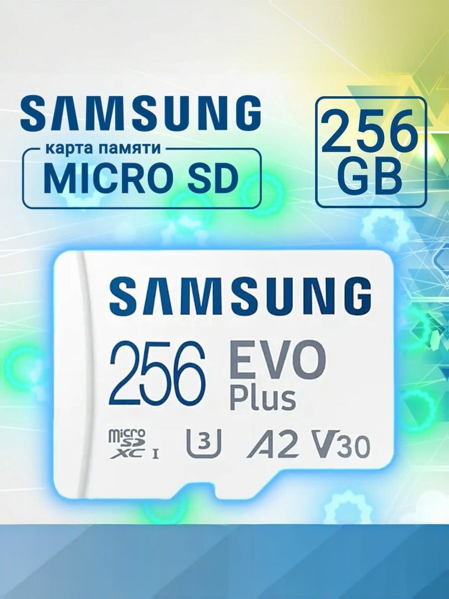 Карта памяти Micro SD EVO Plus 256 ГБ class 10 (MB-MC256HA)
