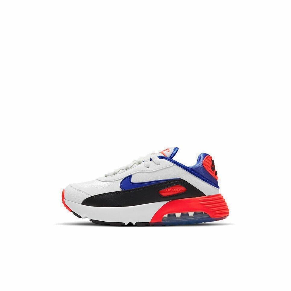 Ботинки Air Max 2090