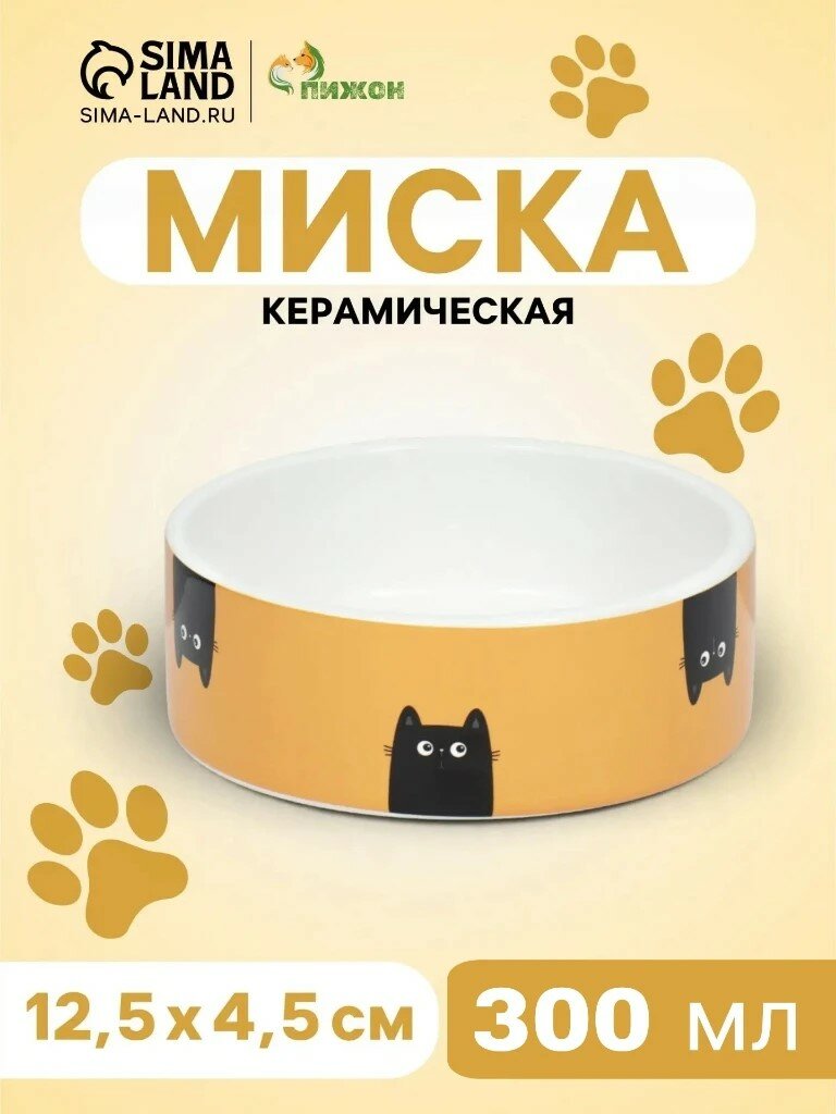 Миска керамическая для кошек и собак "Опасные коты", 300 мл, 12,5х4,5 см, цвет оранжевый, белый.