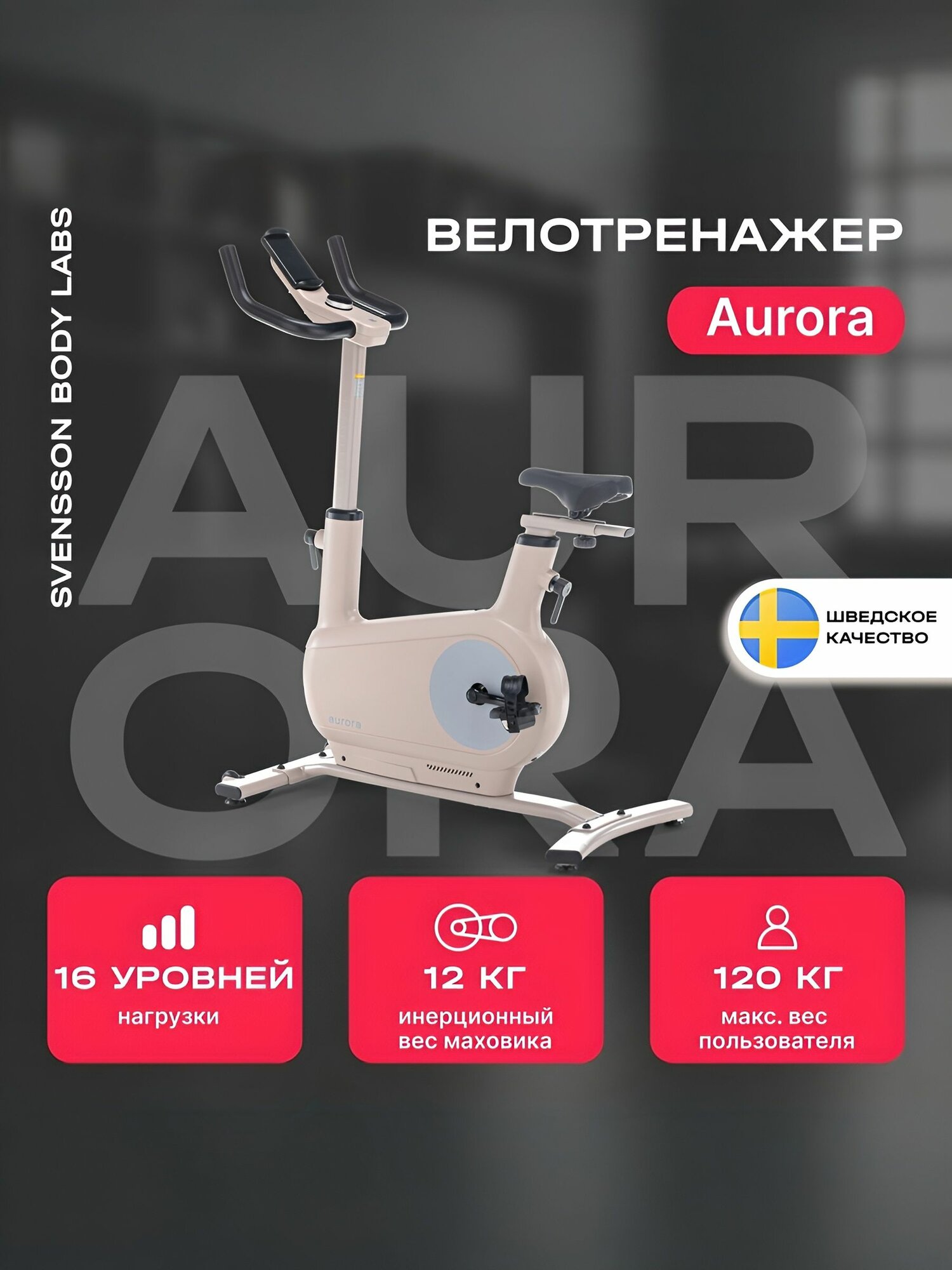 Велотренажер SVENSSON BODY LABS AURORA