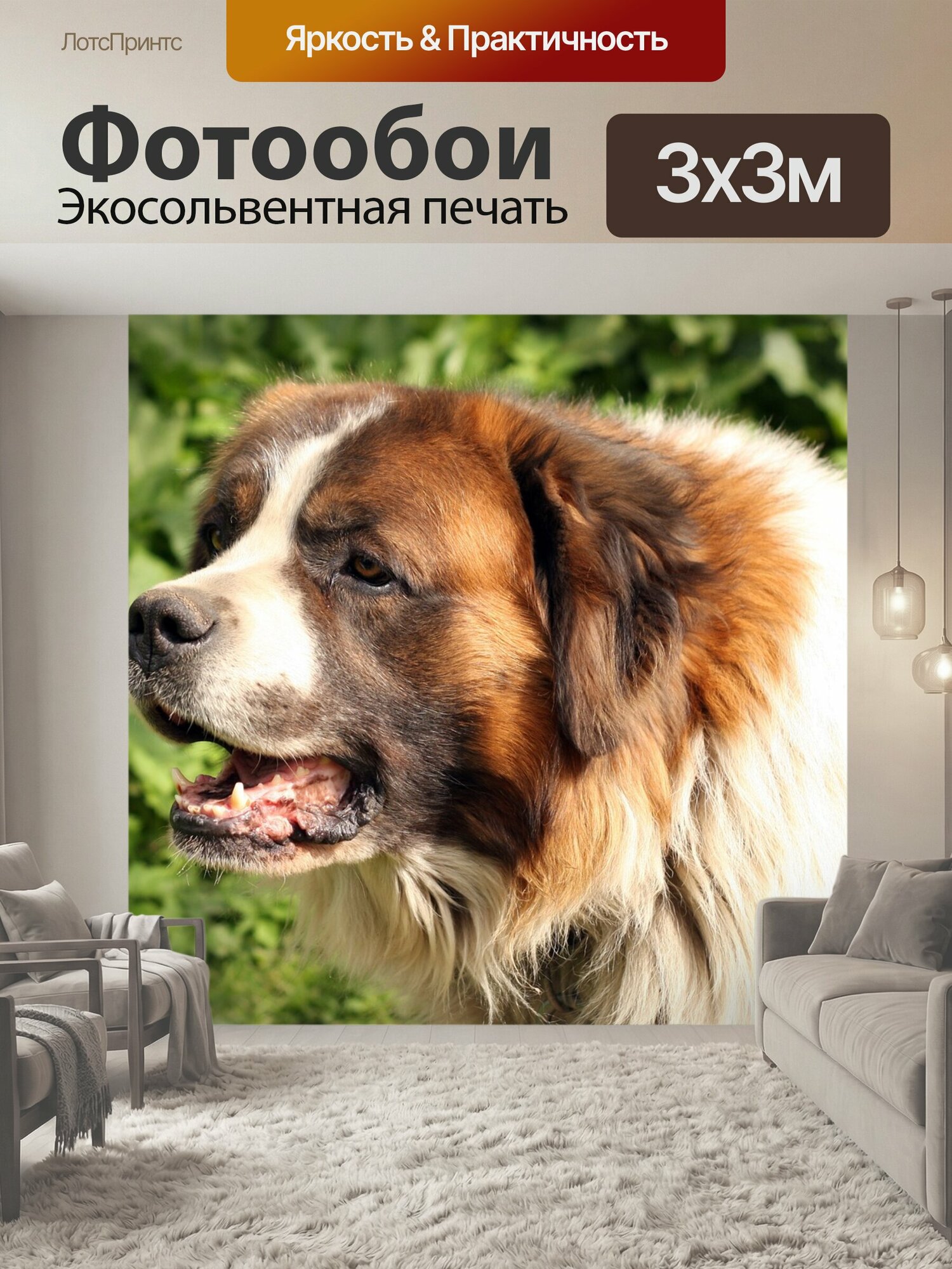Фотообои "Собака, бернард, сенбернар" 300x300 см. экосольвентная печать