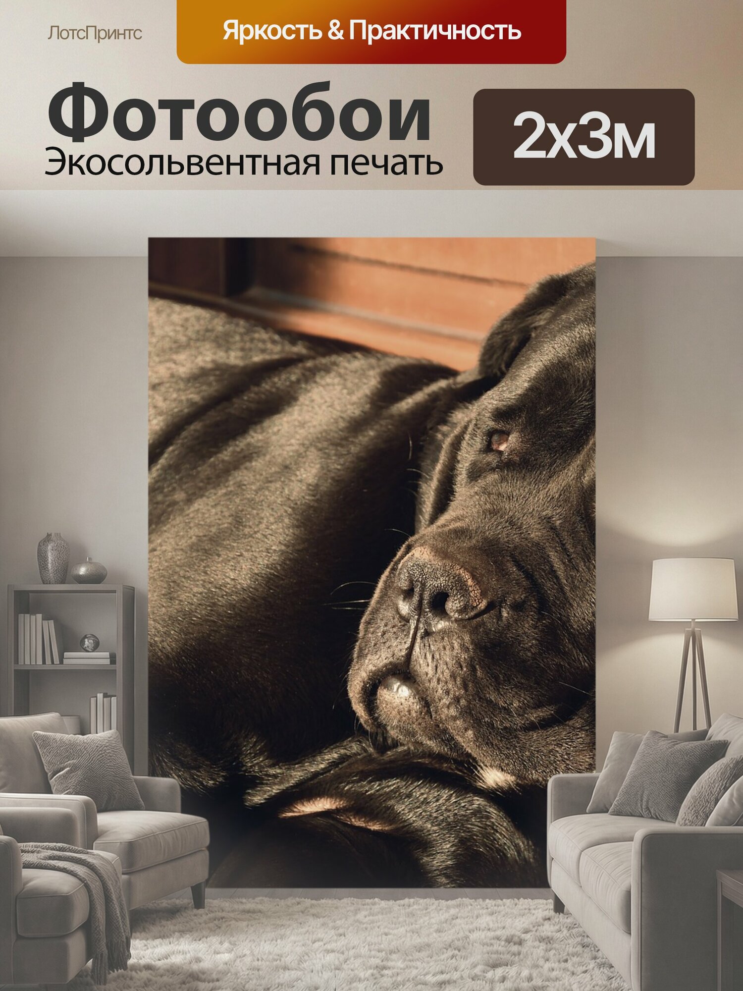 Фотообои "Собака, похмелье, кане корсо" 200x300 см. экосольвентная печать
