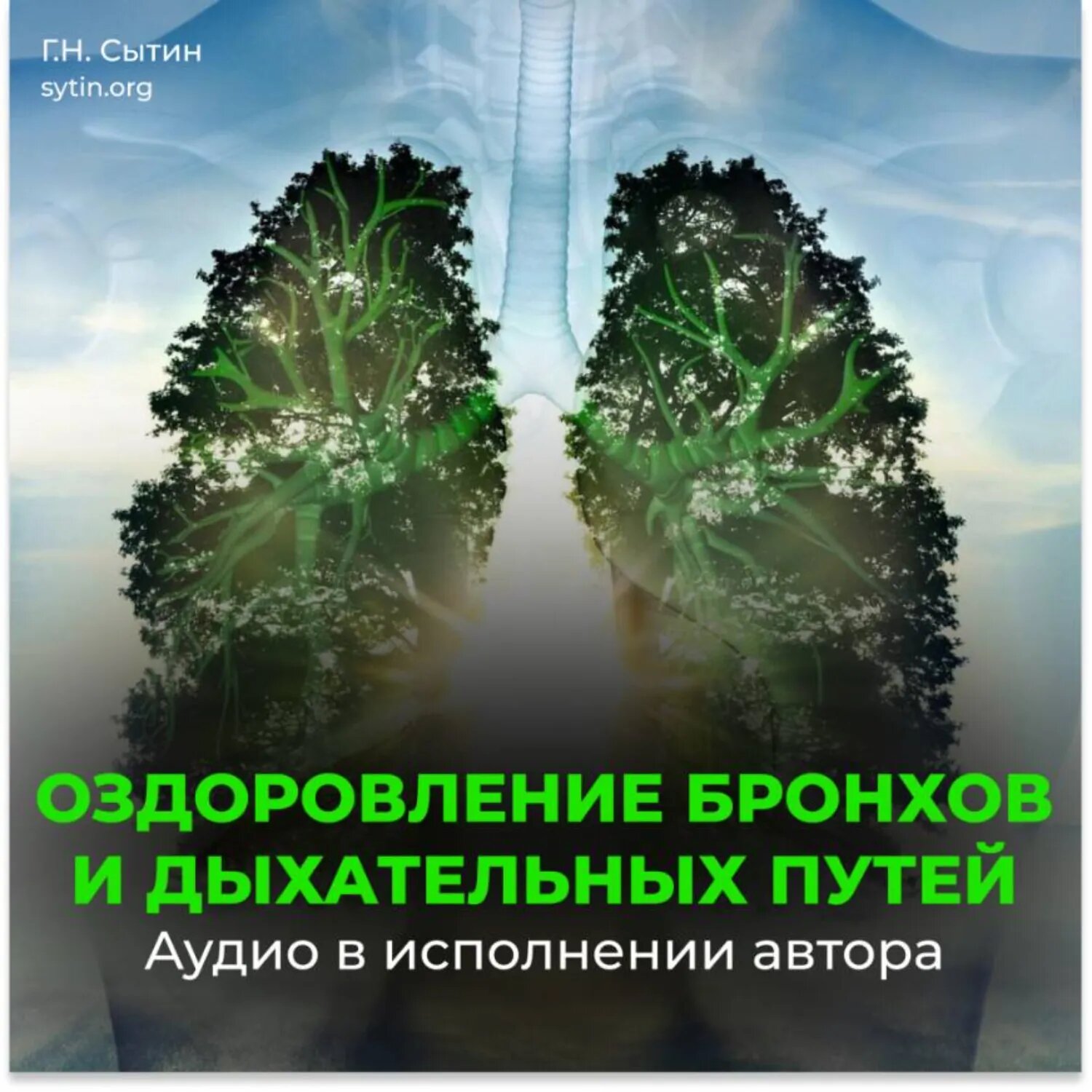 Бронхи. Оздоровление дыхательных путей [Аудиокнига]