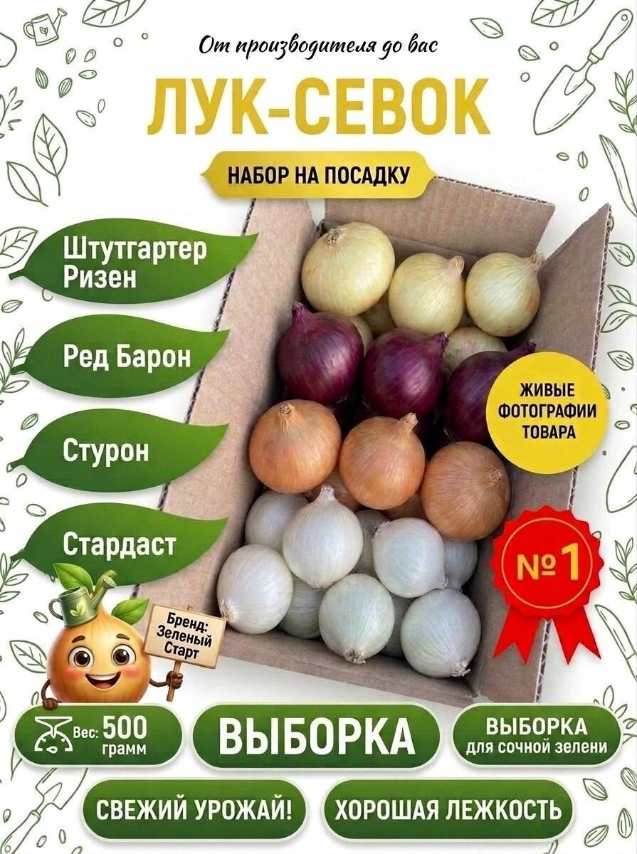 Лук севок на зелень на посадку 4в1 стардаст выборок 500гр лук севок на зелень семена для посадки