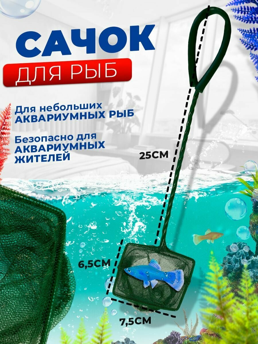 Сачок для рыб зелёный 7.5х6.5 см, ручка 25 см см