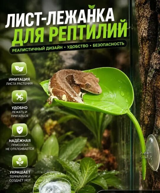 Укрытие для рептилий, фон для террариума, лежанка для эублефара, бананоеда, геккона / Декорация для террариума 爬行动物躲避穴、爬宠缸背景、豹纹守宫/大耳守宫/壁虎休息垫 / 爬宠缸装饰