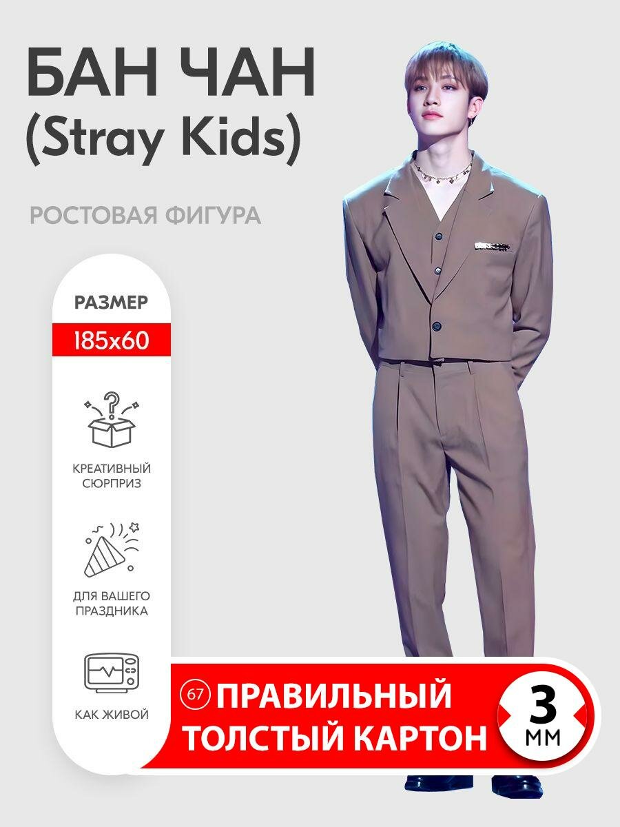 Аксессуар для фотосессий, самое это, Бан Чан (Stray Kids) 2, ростовая фигура