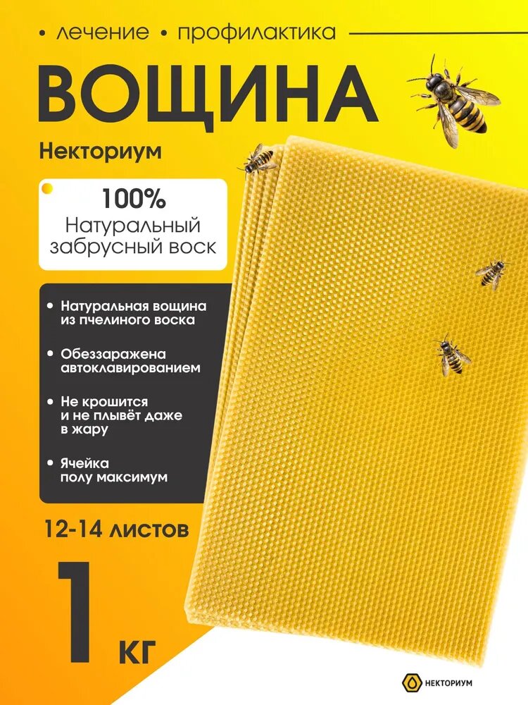 Вощина для пчел Дадан