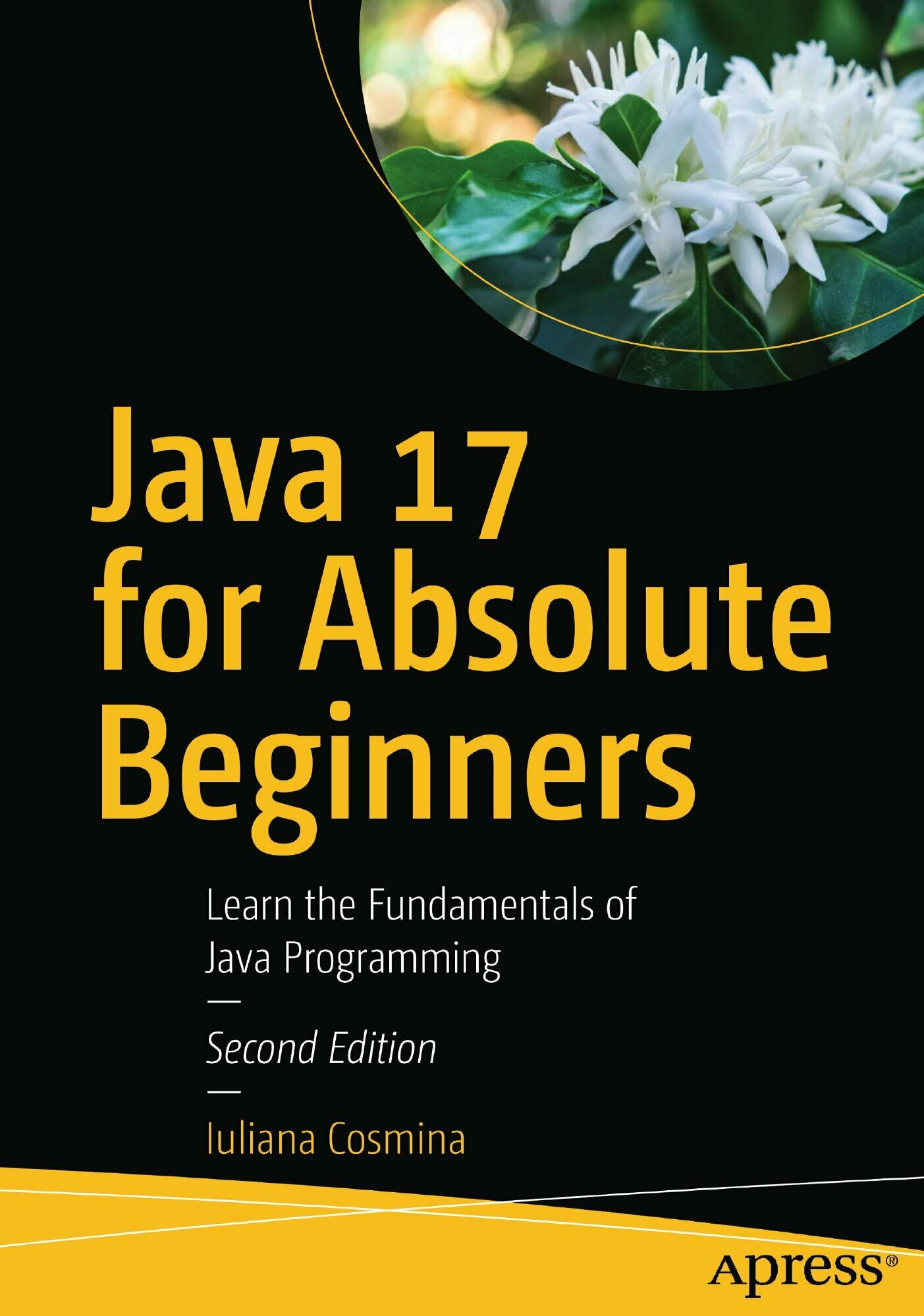 Java 17 for Absolute Beginners. Learn the Fundamentals of Java Programming — фото 1