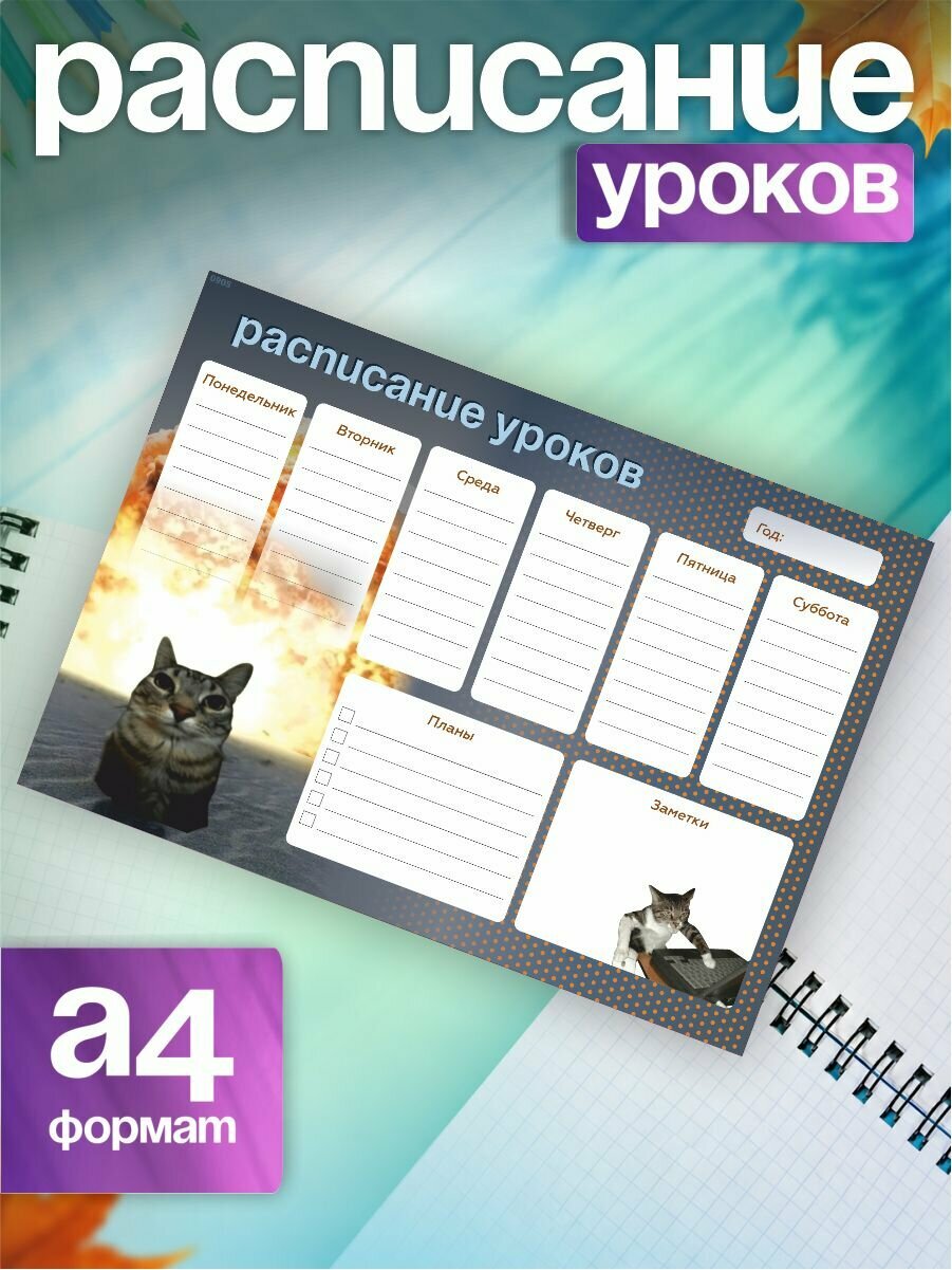 Расписание уроков канцелярия Кот