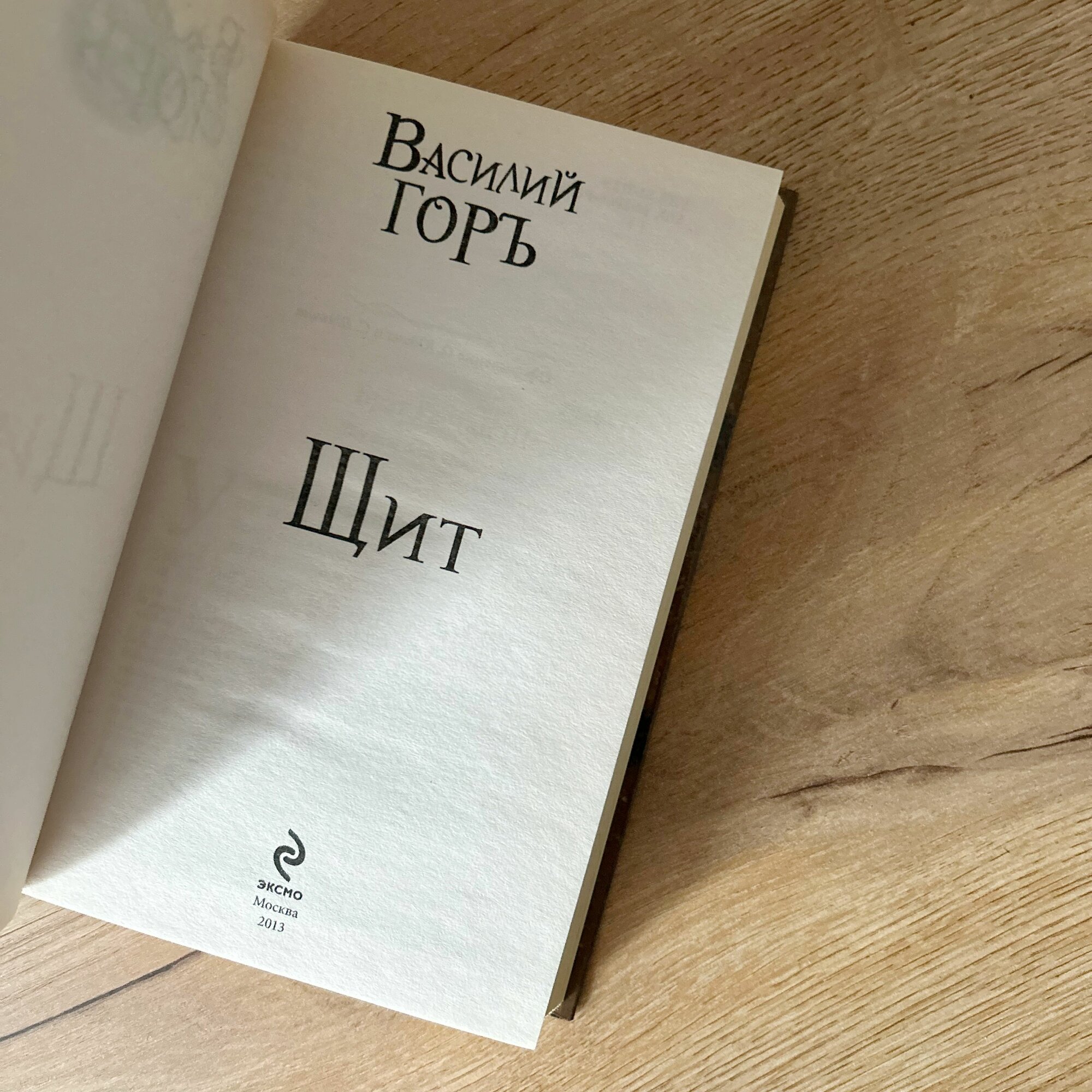 Горъ Василий / Щит, 2013 — фото 1