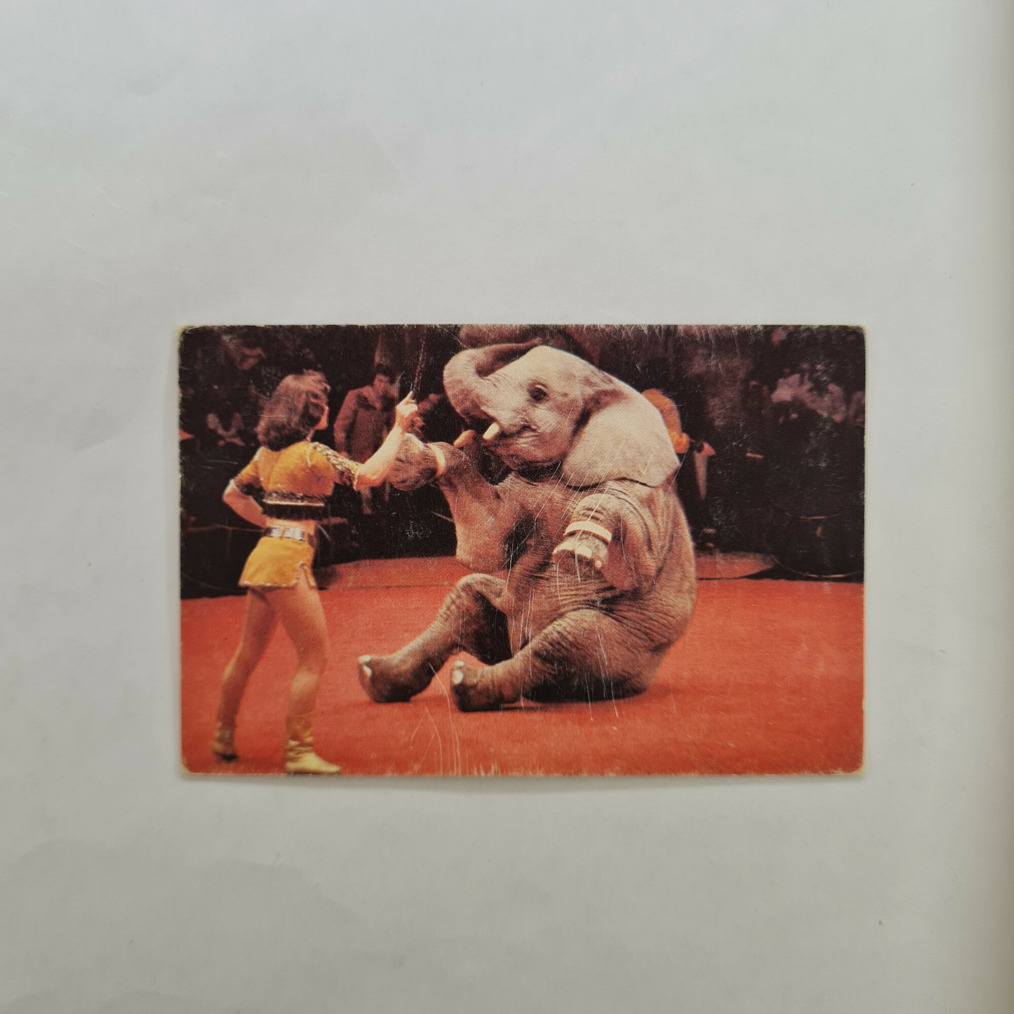 Карманный календарик СССР 1989. Девочка и слон в цирке, серия Советский цирк. Советский календарь