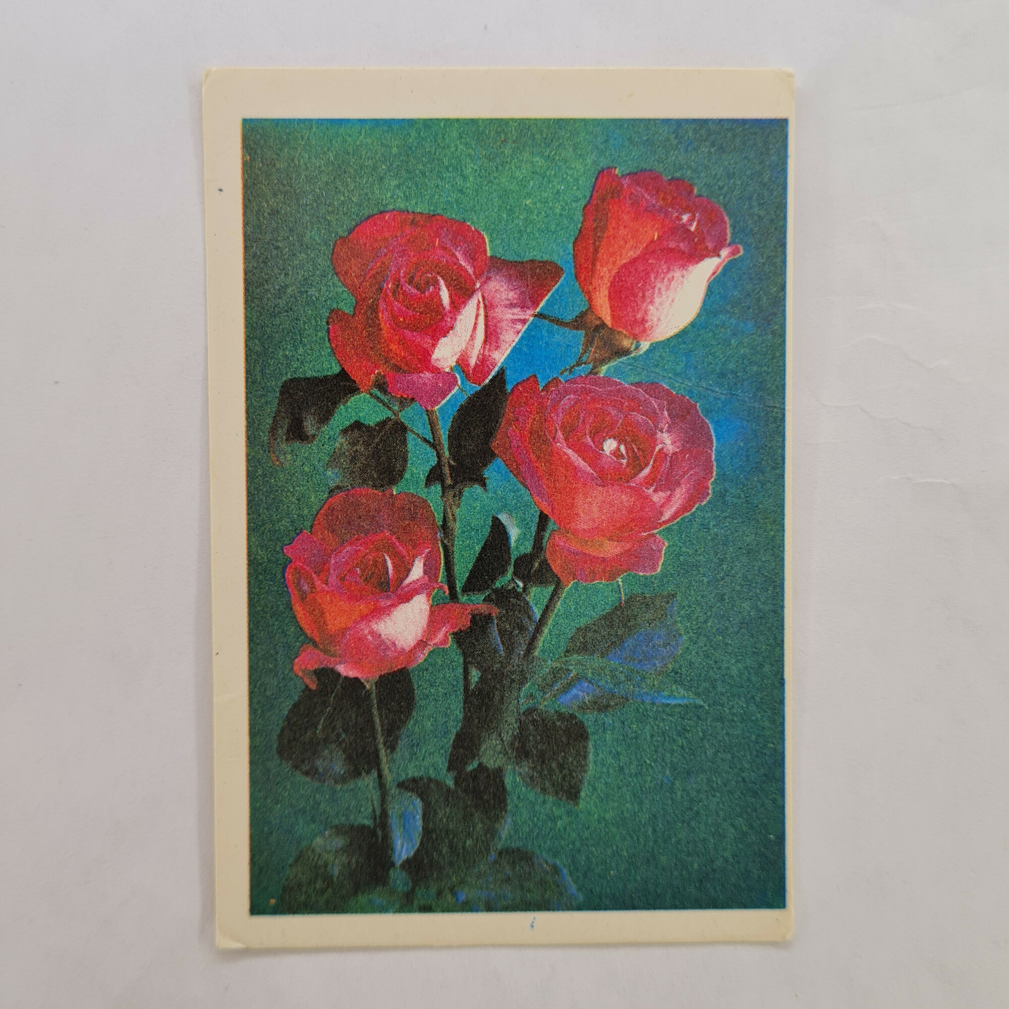 Карманный календарик СССР 1990. Розы, цветы. Советский календарь коллекционный винтажный