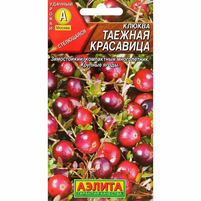 Семена Клюква крупноплодная 'Таежная красавица', 0,02 г