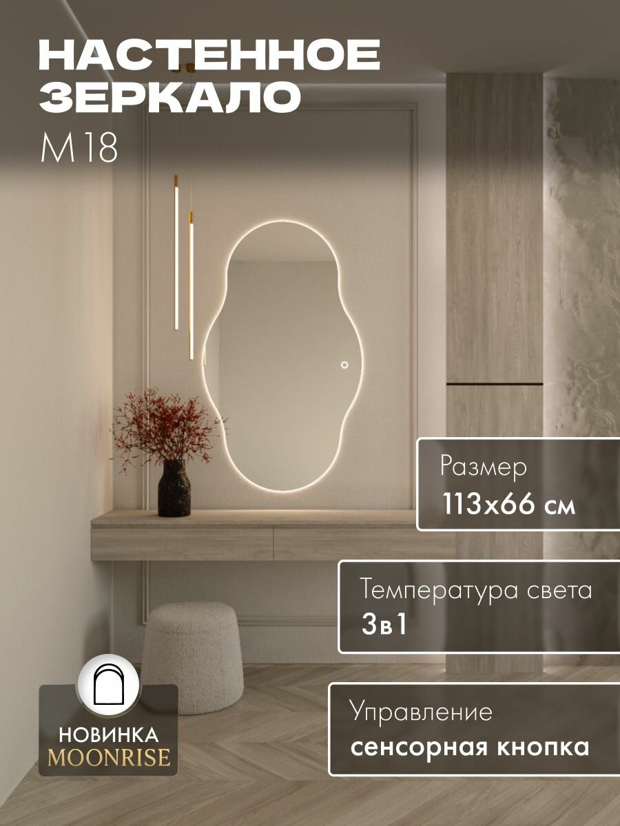Зеркало настенное 113х66 см. сенсорное фигурное с подсветкой М18 MOONRISE
