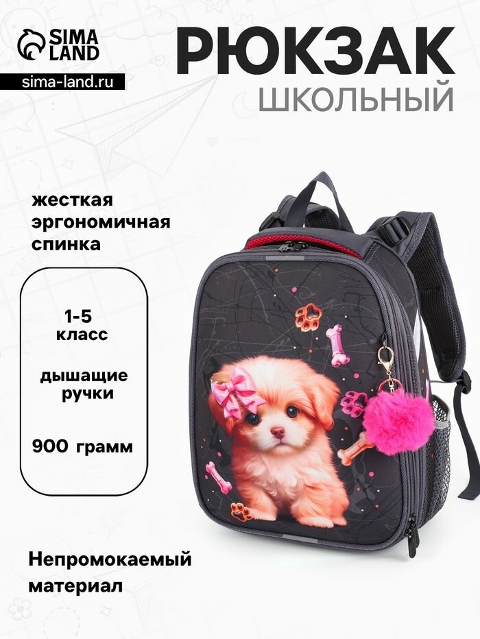 Рюкзак школьный для девочки Щенок , Stavia, эргономичная спинка, 30 16 38 см, серый
