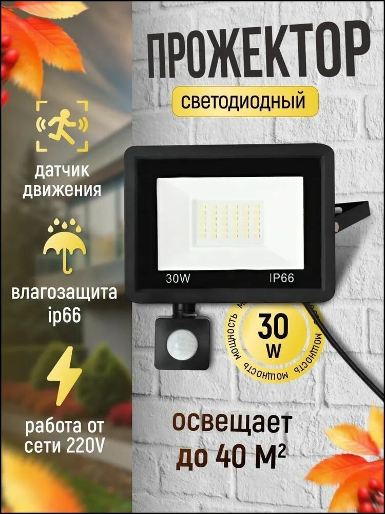 Прожектор светодиодный уличный 30 Ватт с датчиком движения
