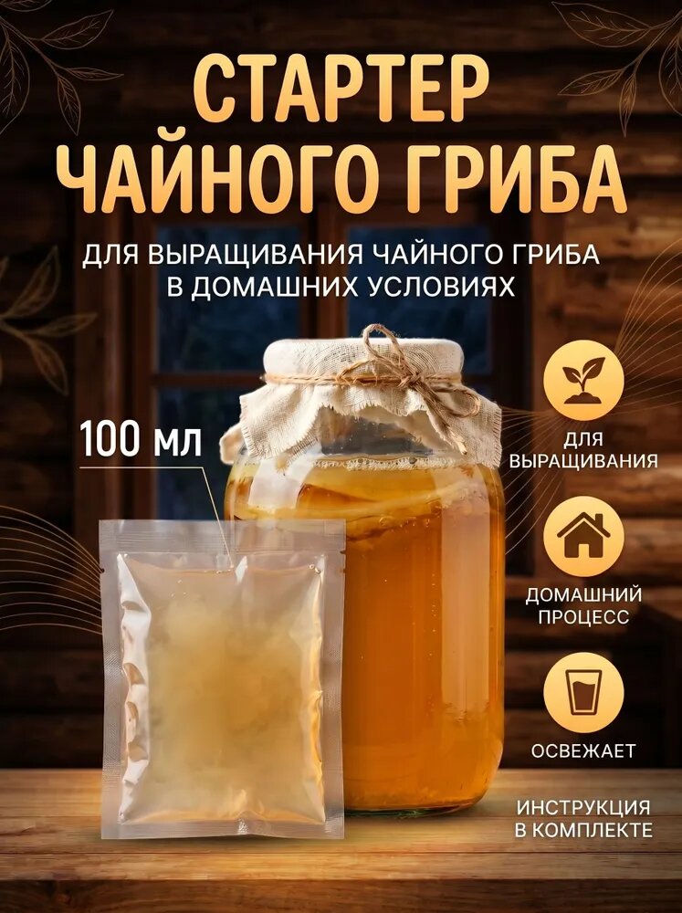 Чайный гриб Стартер Lite (живой)