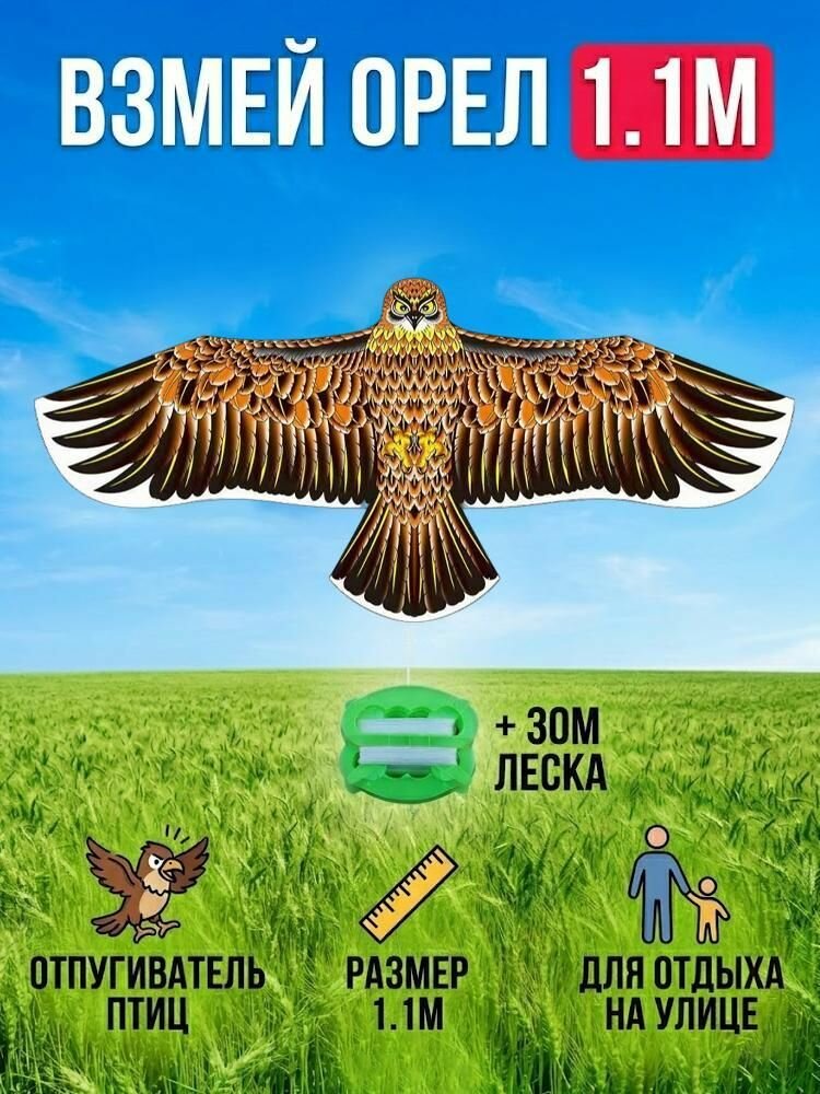 Воздушный змей Орёл с катушкой 30м, размах 110см / Управляемый летучий змей для игры на улице