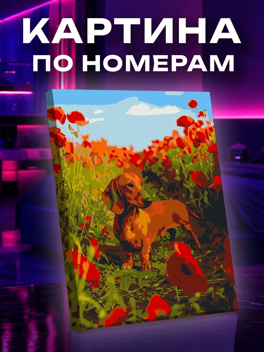 Картина по номерам Такса в алых маках