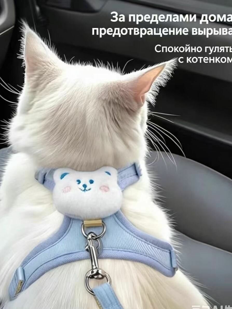 Поводок для кошки — фото 1