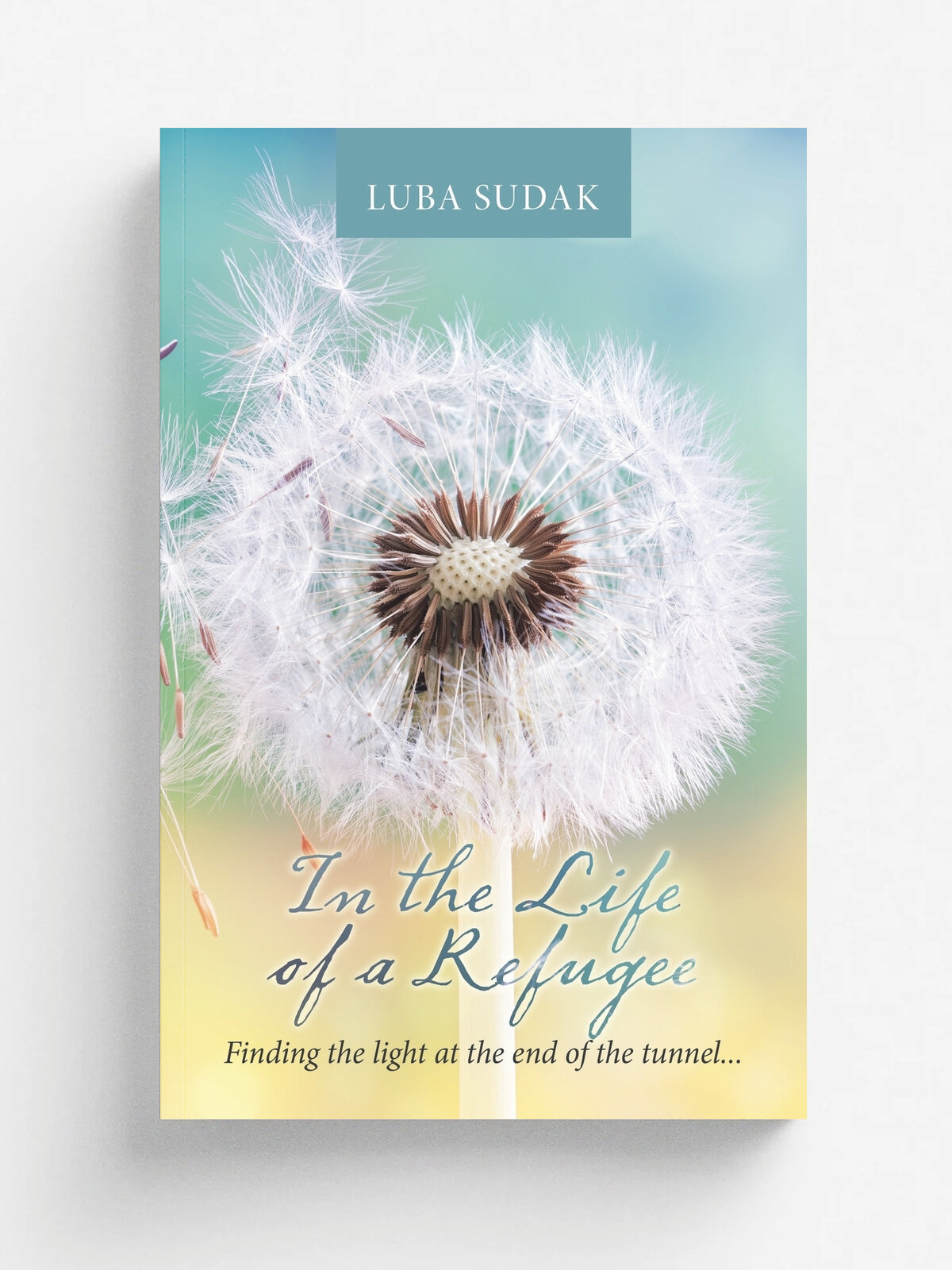 In the Life of a Refugee. Finding the Light at the End of the Tunnel . . .