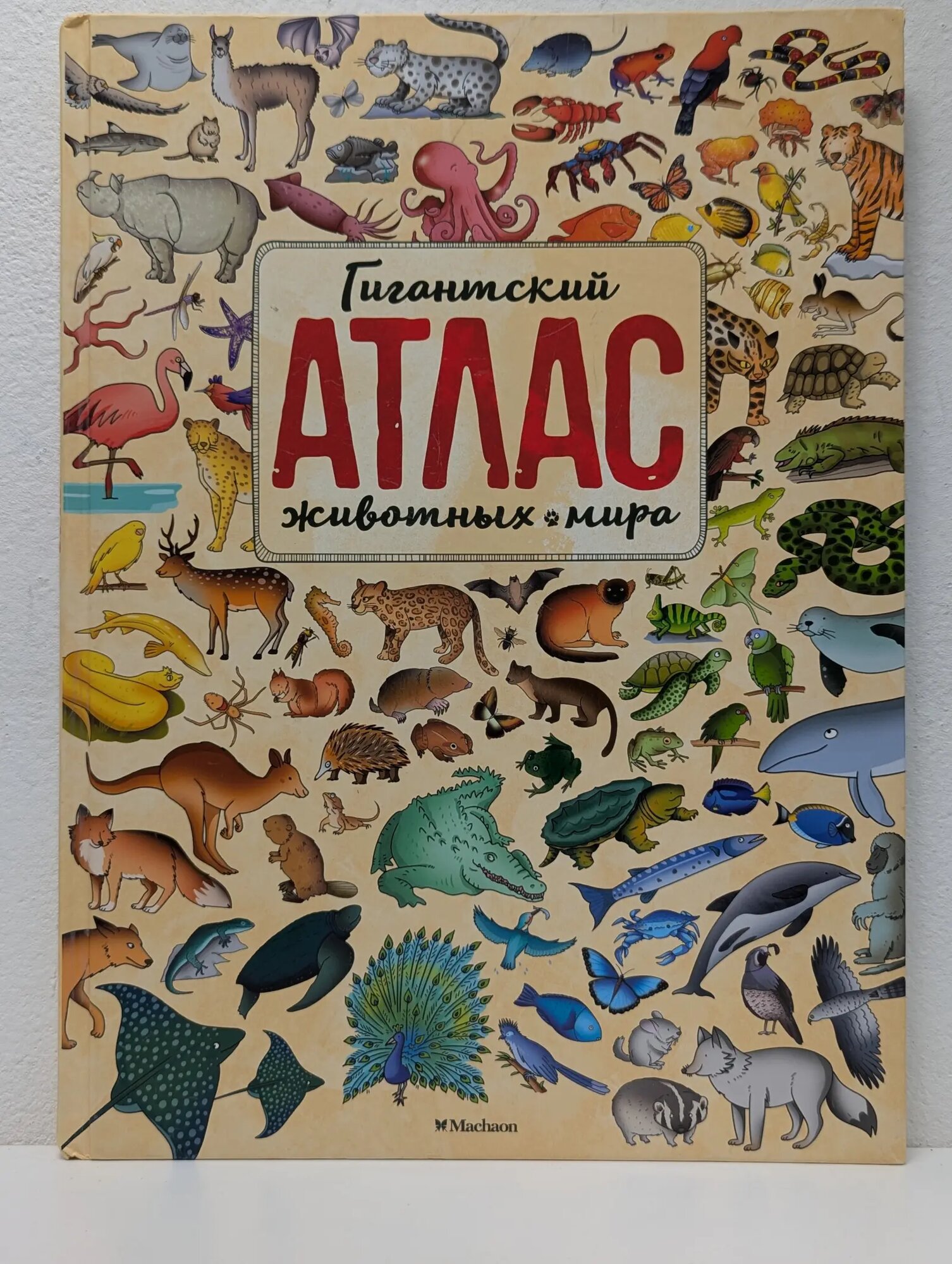 Гигантский атлас животных мира Гримальди Паола 2019