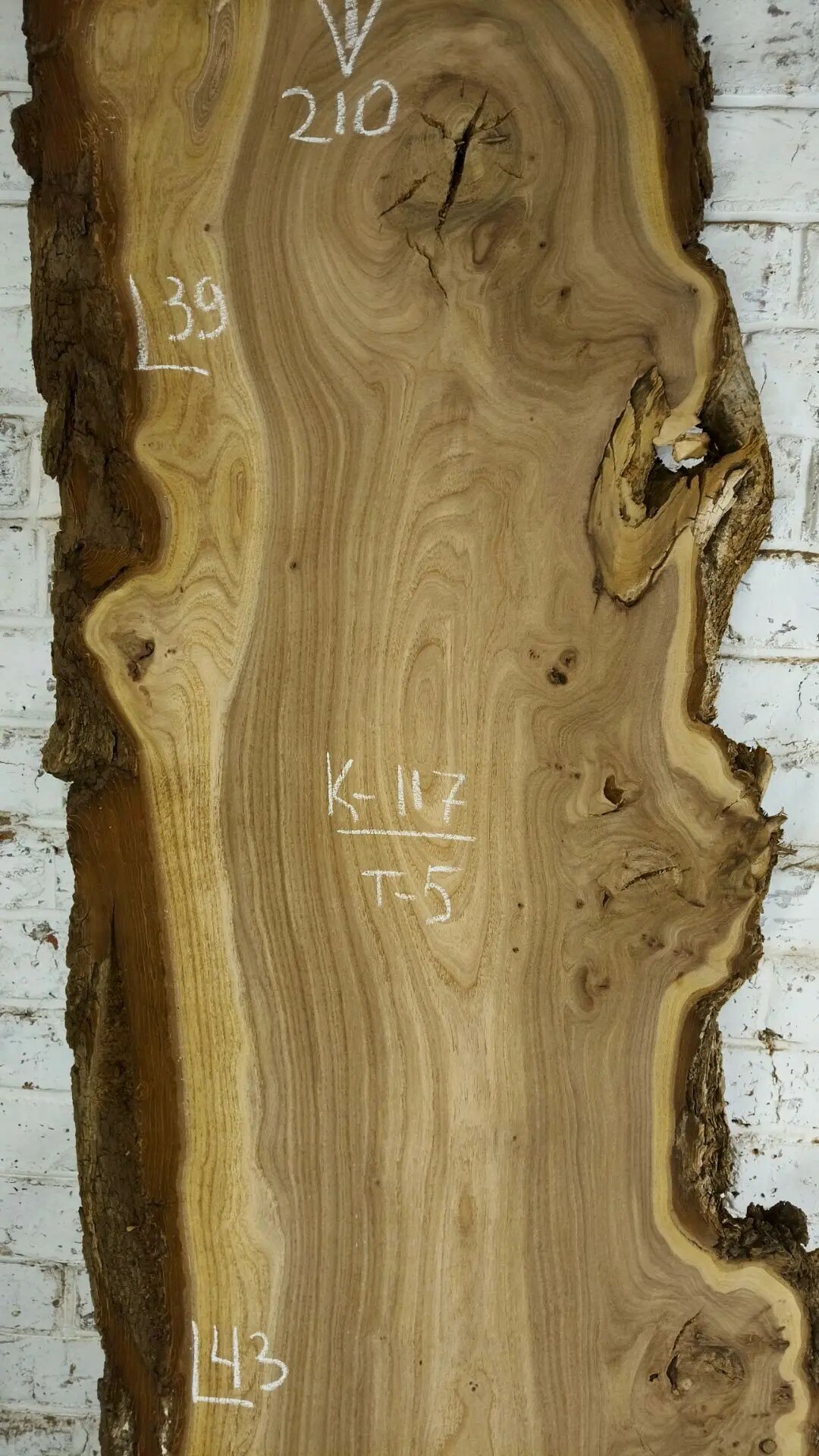 Слэб дерева Карагач К117, выровнен в плоскости, влажность 8-10% — фото 1