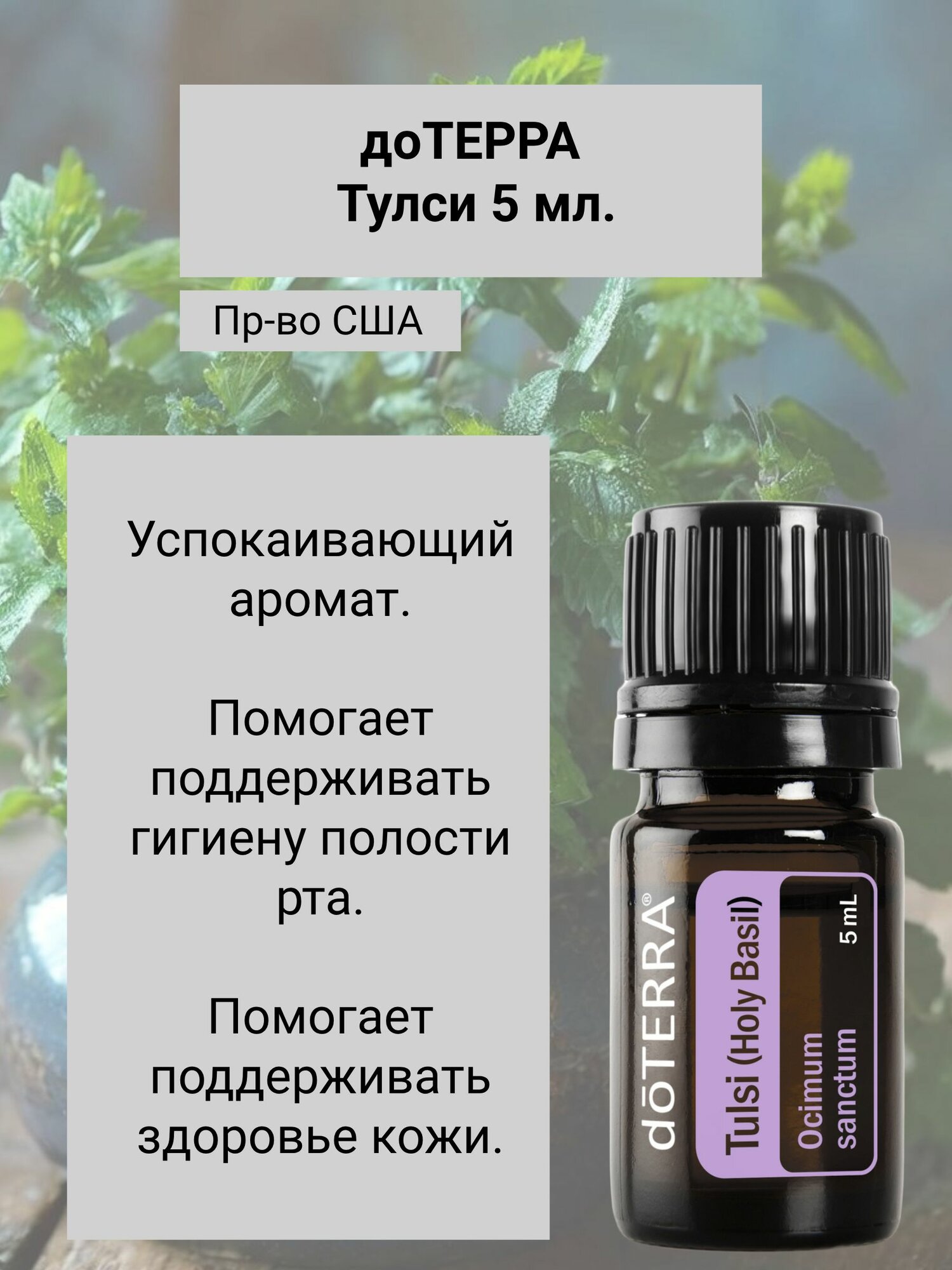 Эфирное масло дотерра Тулси (Базилик священный), doTERRA Tulsi