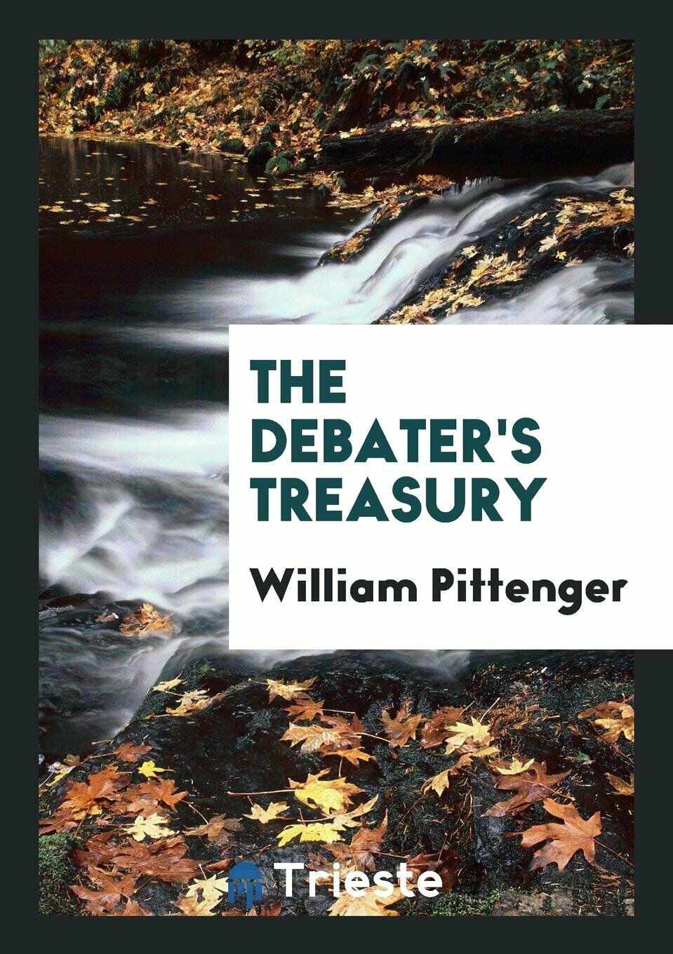 The Debater's Treasury — фото 1