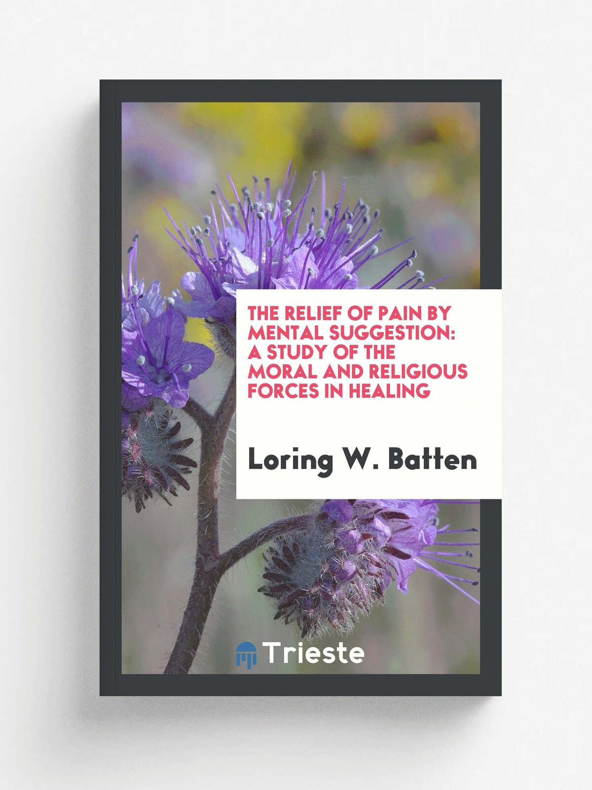 The Relief of Pain by Mental Suggestion. A Study of the Moral and Religious Forces in Healing