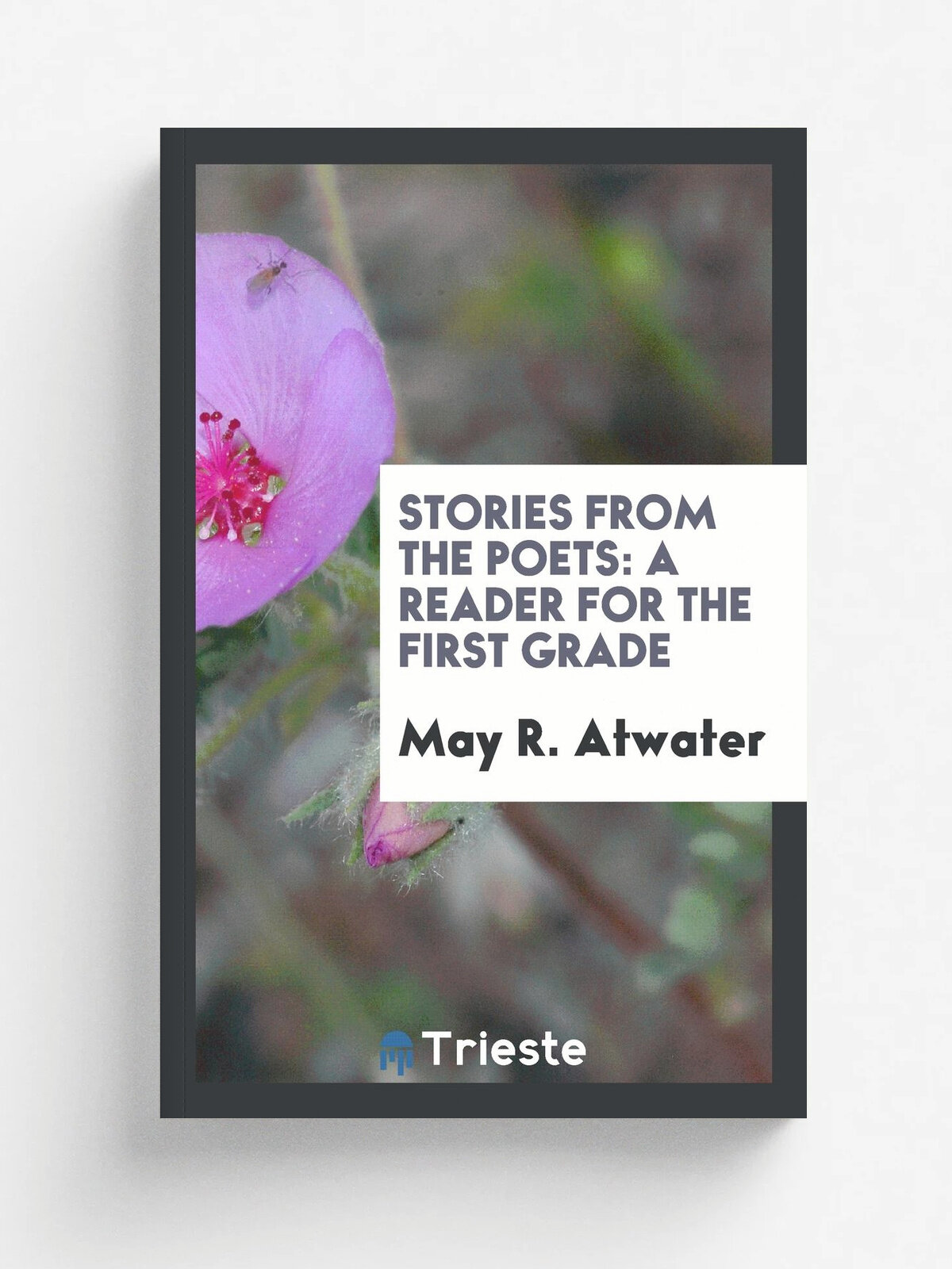 Stories from the Poets. A Reader for the First Grade