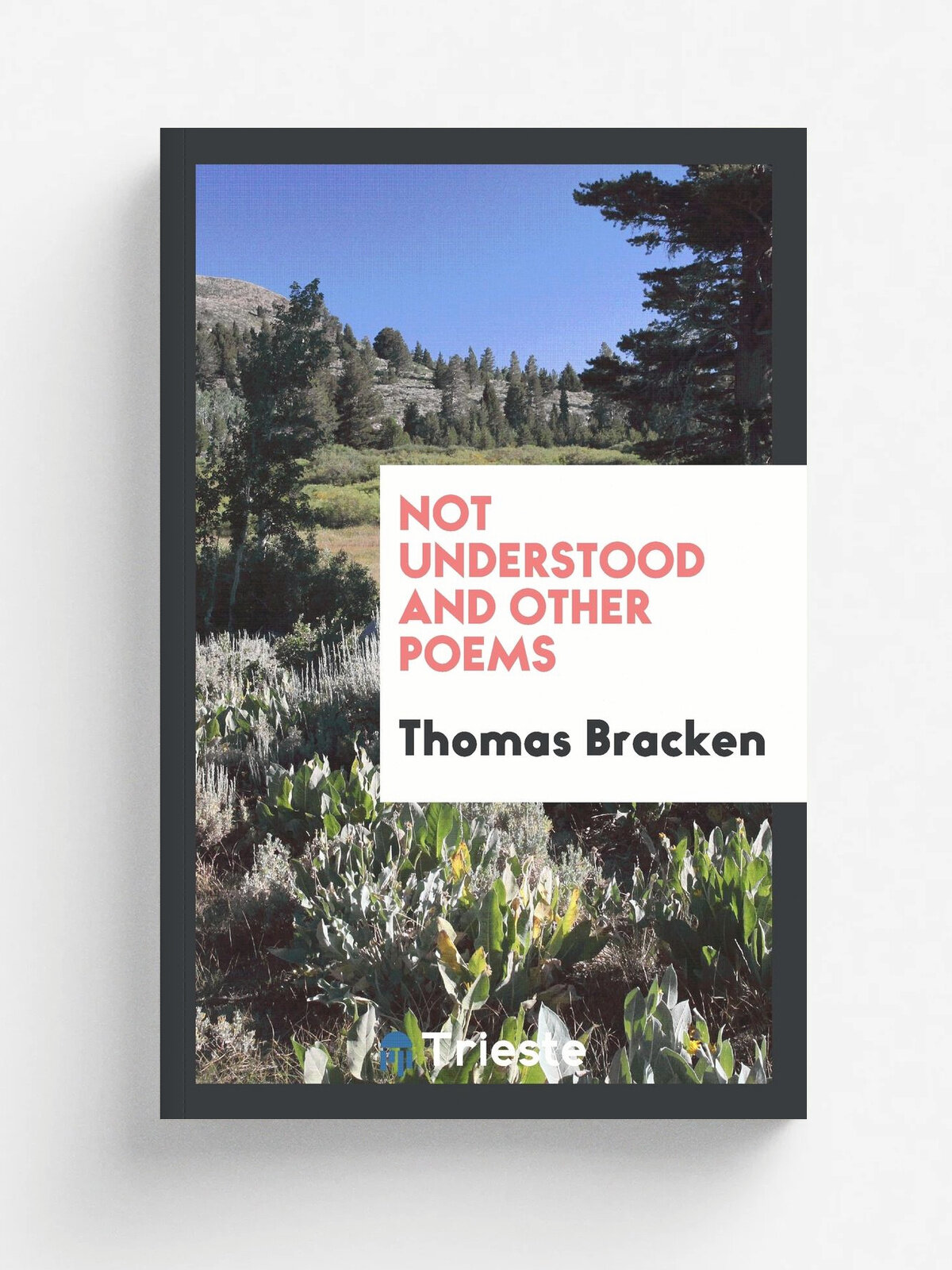 Not understood. and other poems