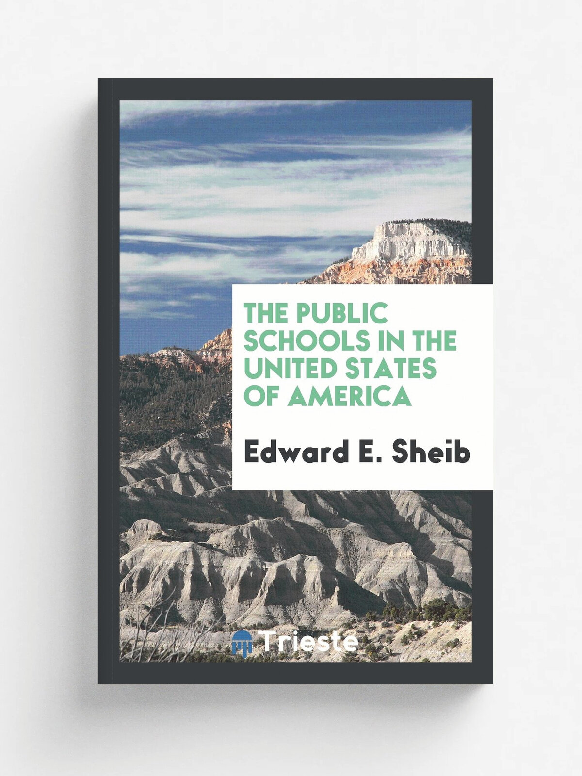 The Public Schools in the United States of America