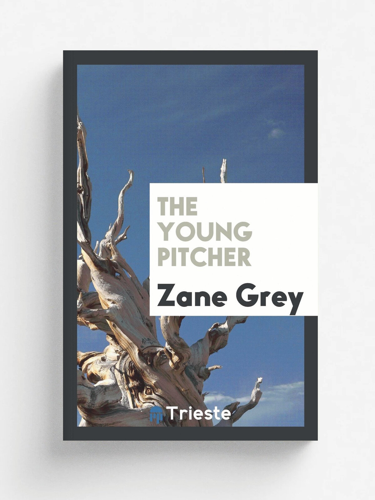 The young pitcher