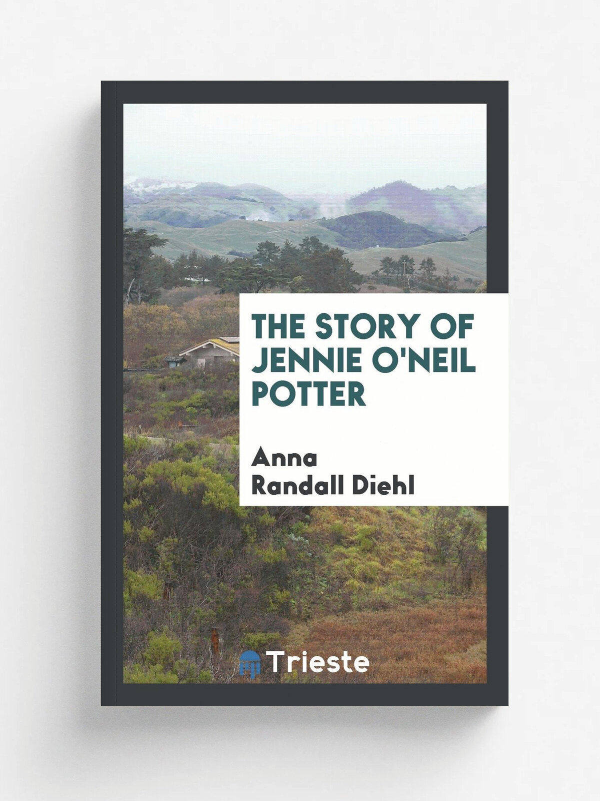 The story of Jennie O'Neil Potter