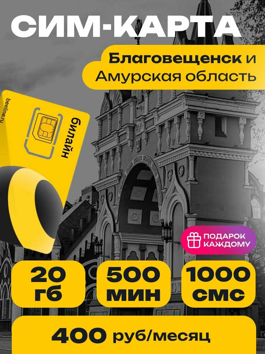 Сим-карта Билайн тариф Выгодный лайт Амурская область 20 Гб + 500 минут за 400 руб.