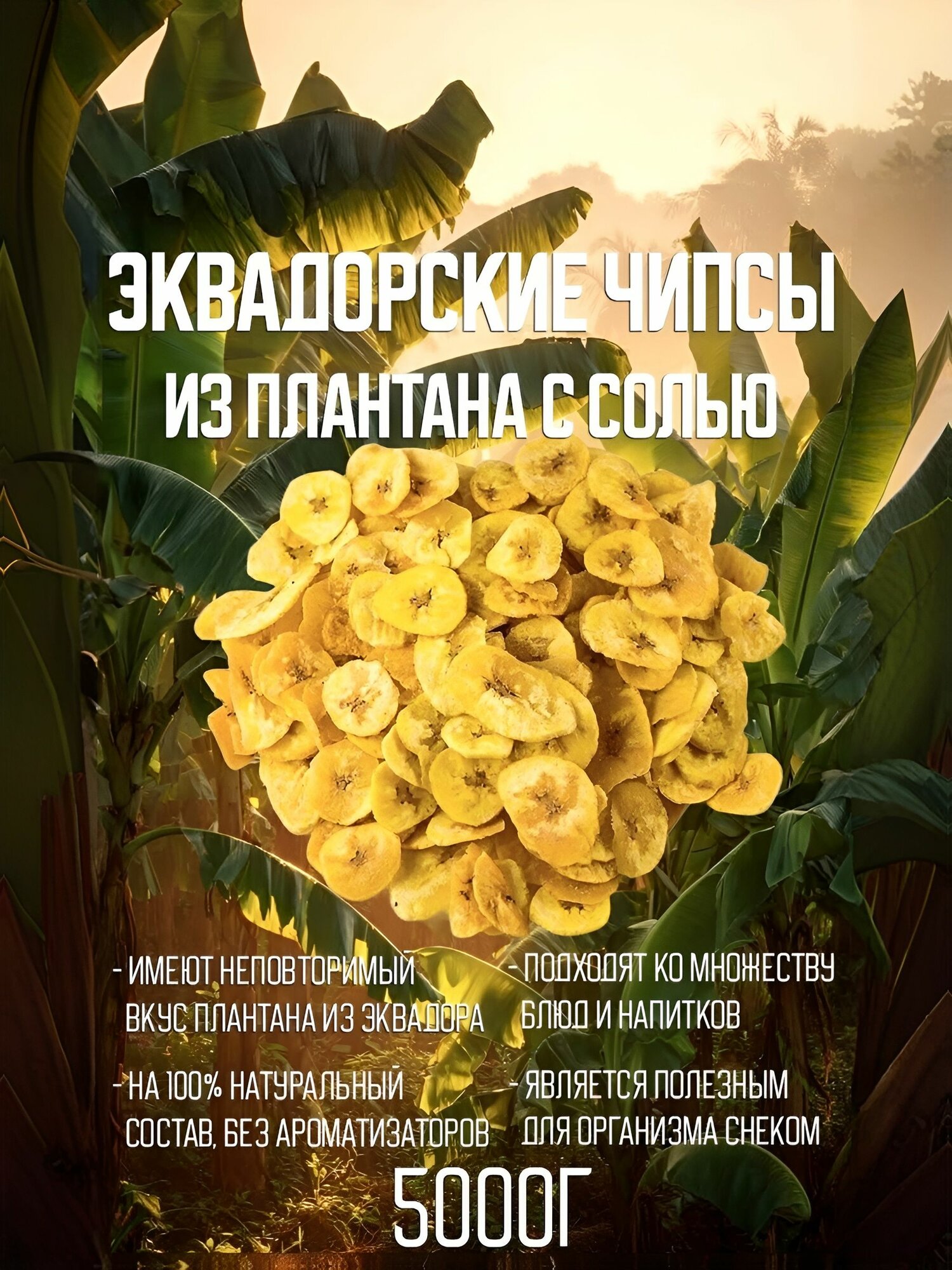 Чипсы из Плантана овощного банана, с морской солью 5000г
