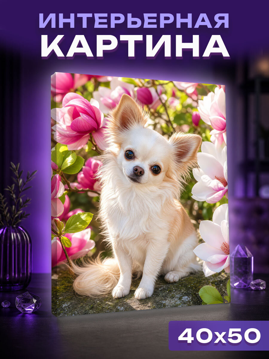 Интерьерная картина Чихуахуа среди магнолий