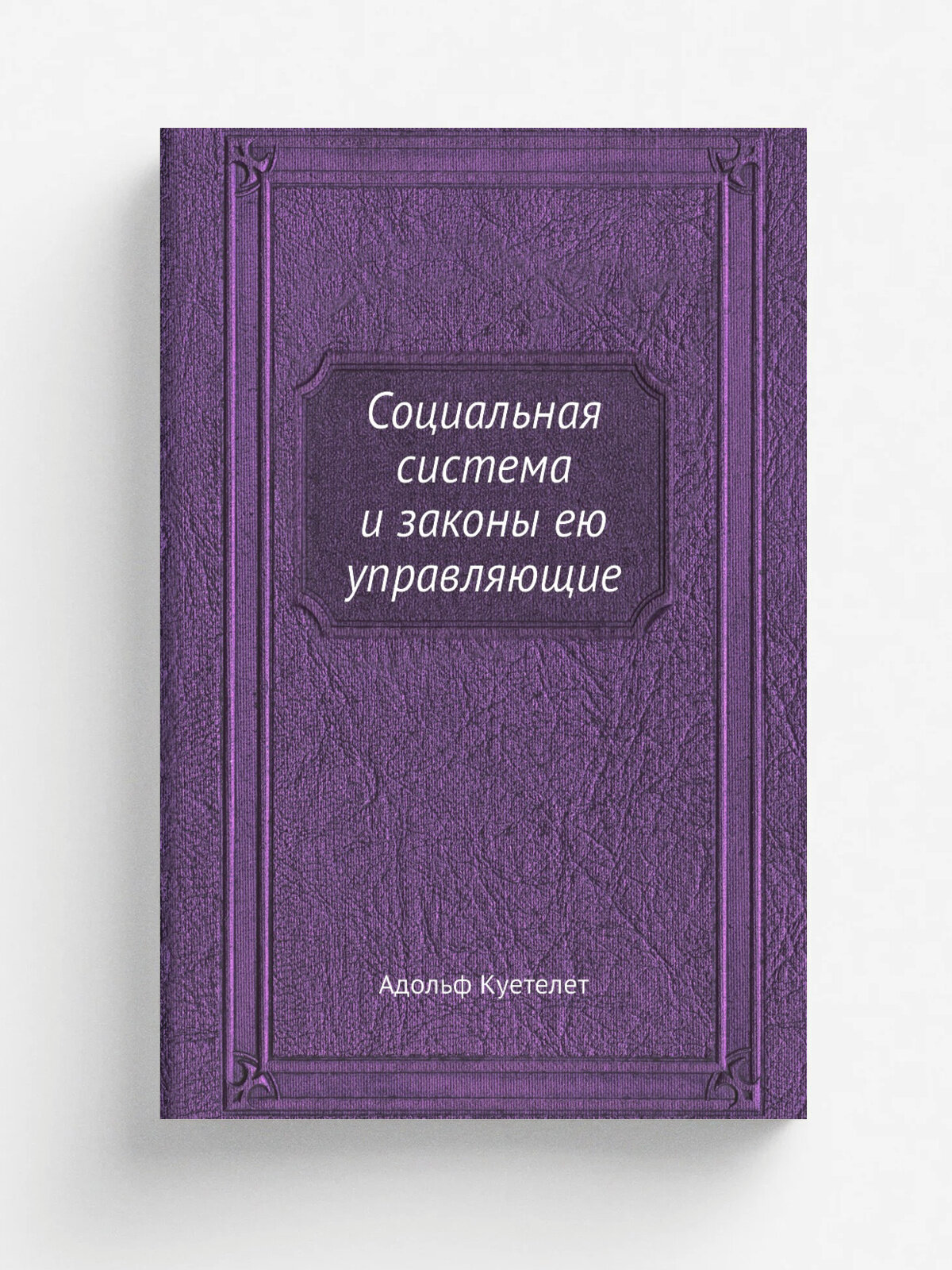 Социальная система и законы ею управляющие