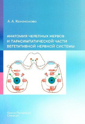 Анатомия черепных нервов и парасимпатической части вегетативной нервной системы (на русском языке) / Колоколова А. А.